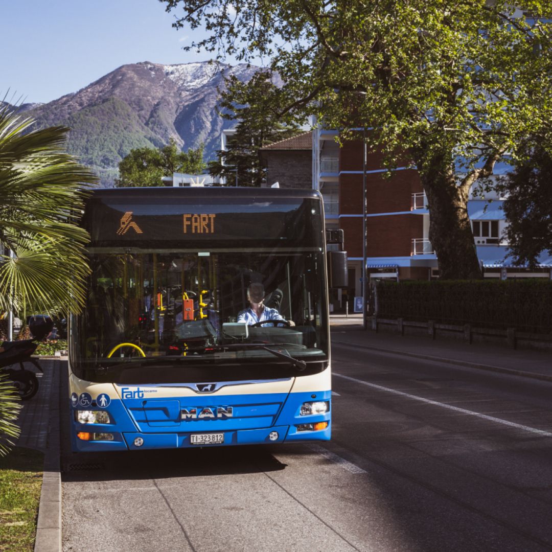 This bus company | Scrolller