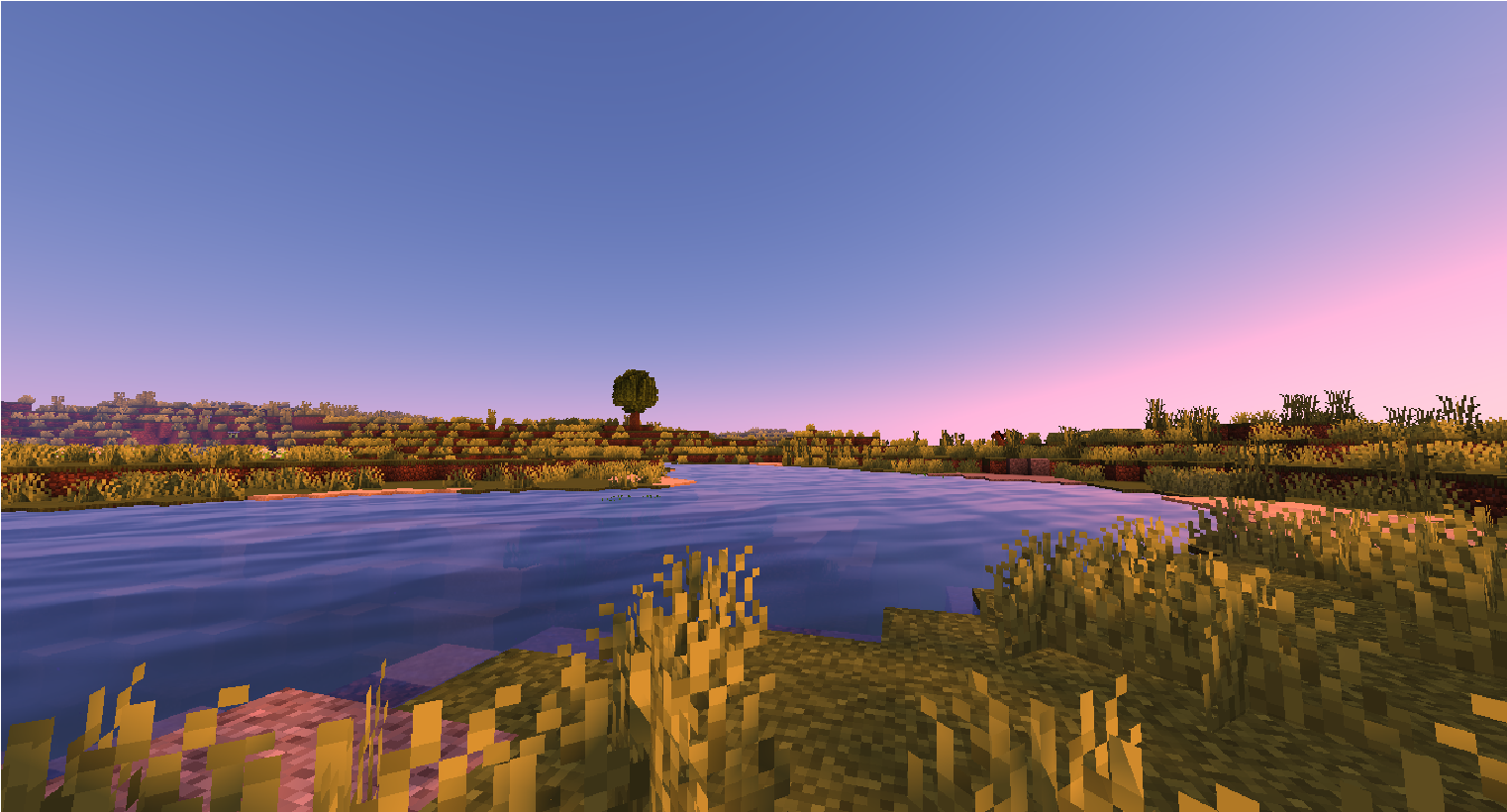 This cool shot I took of a river with shaders. | Scrolller