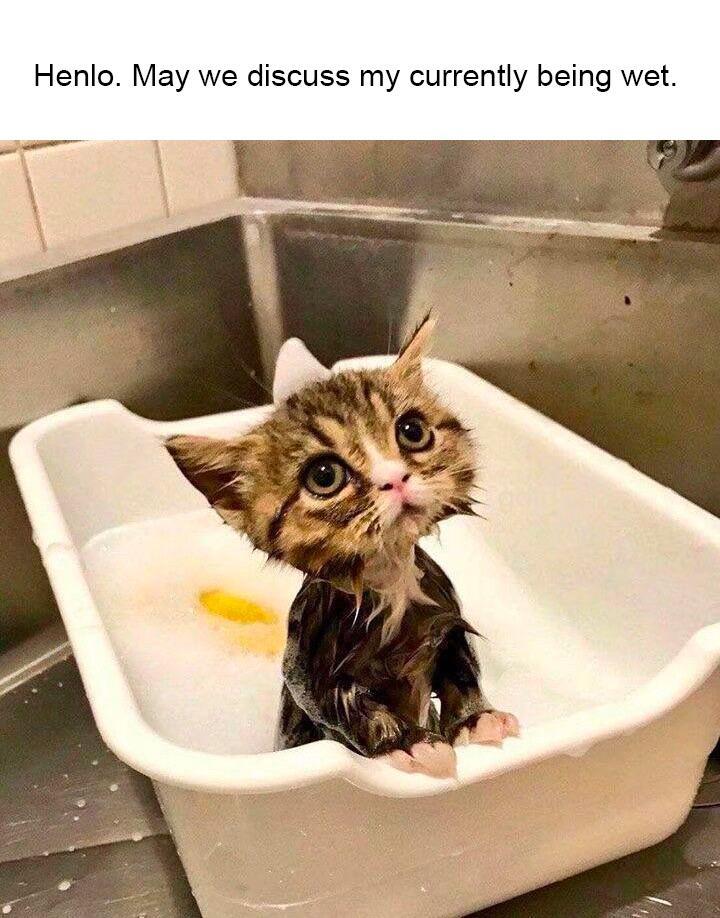 This Currently Is Unacceptable | Scrolller