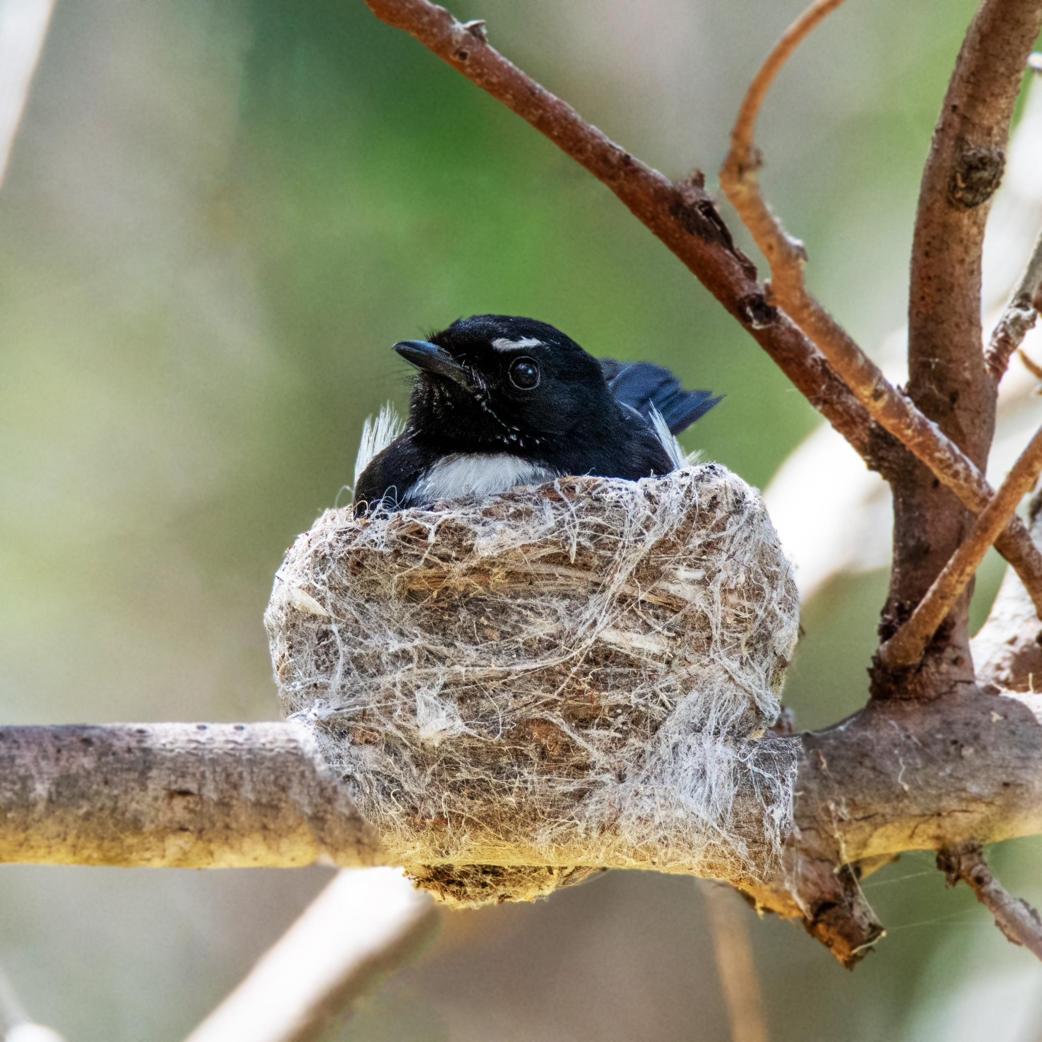 This expertly constructed one bedroom loft apartment is ideal for raising your family. | Scrolller