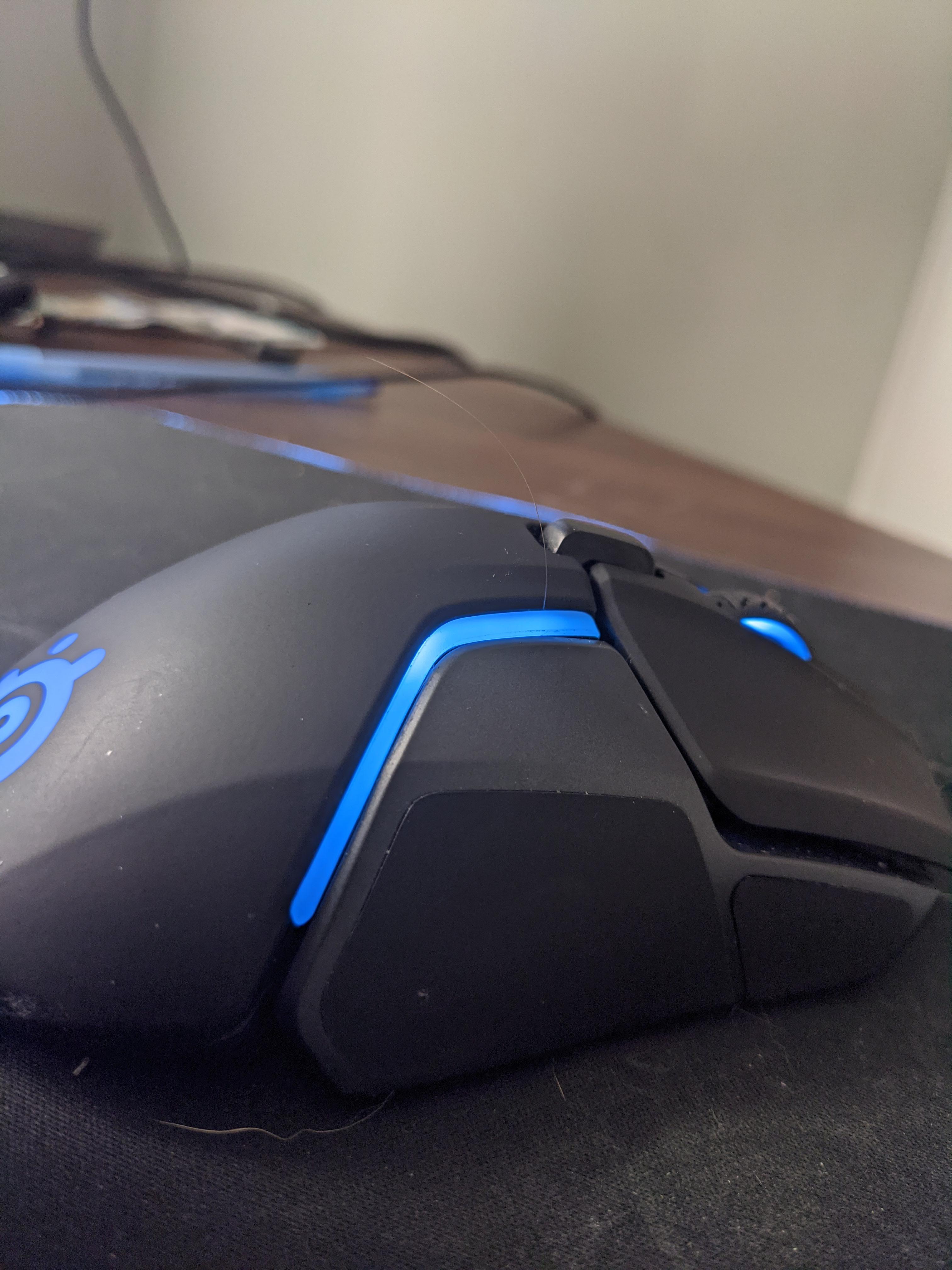 This hair that somehow wedged itself in my mouse | Scrolller