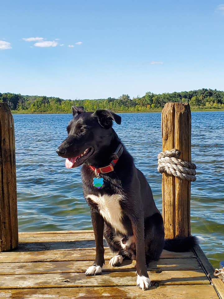 This handsome boy | Scrolller