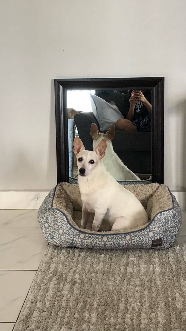 This handsome guy is 17 years old today 🎂 | Scrolller