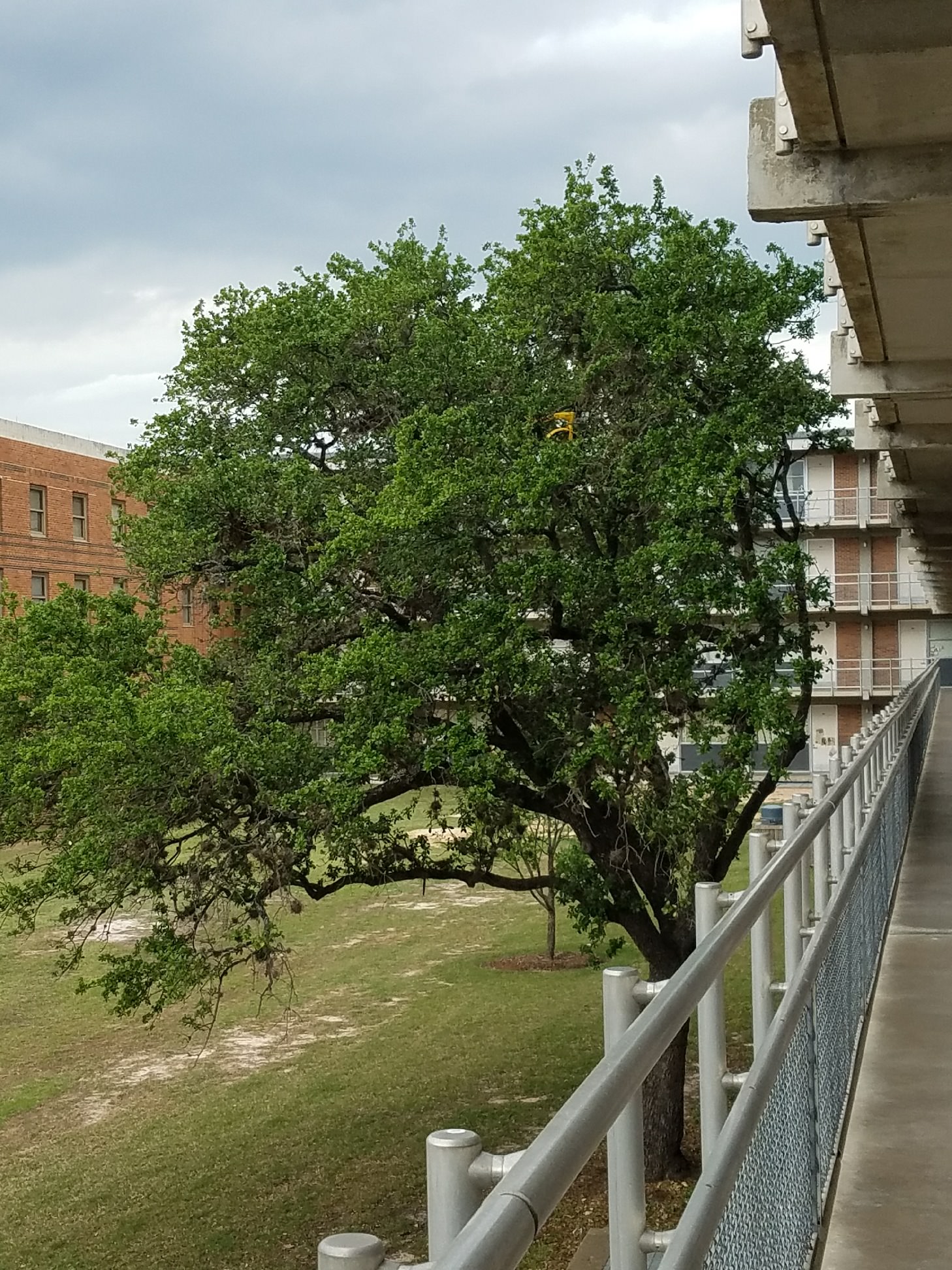 This has gone too far. | Scrolller