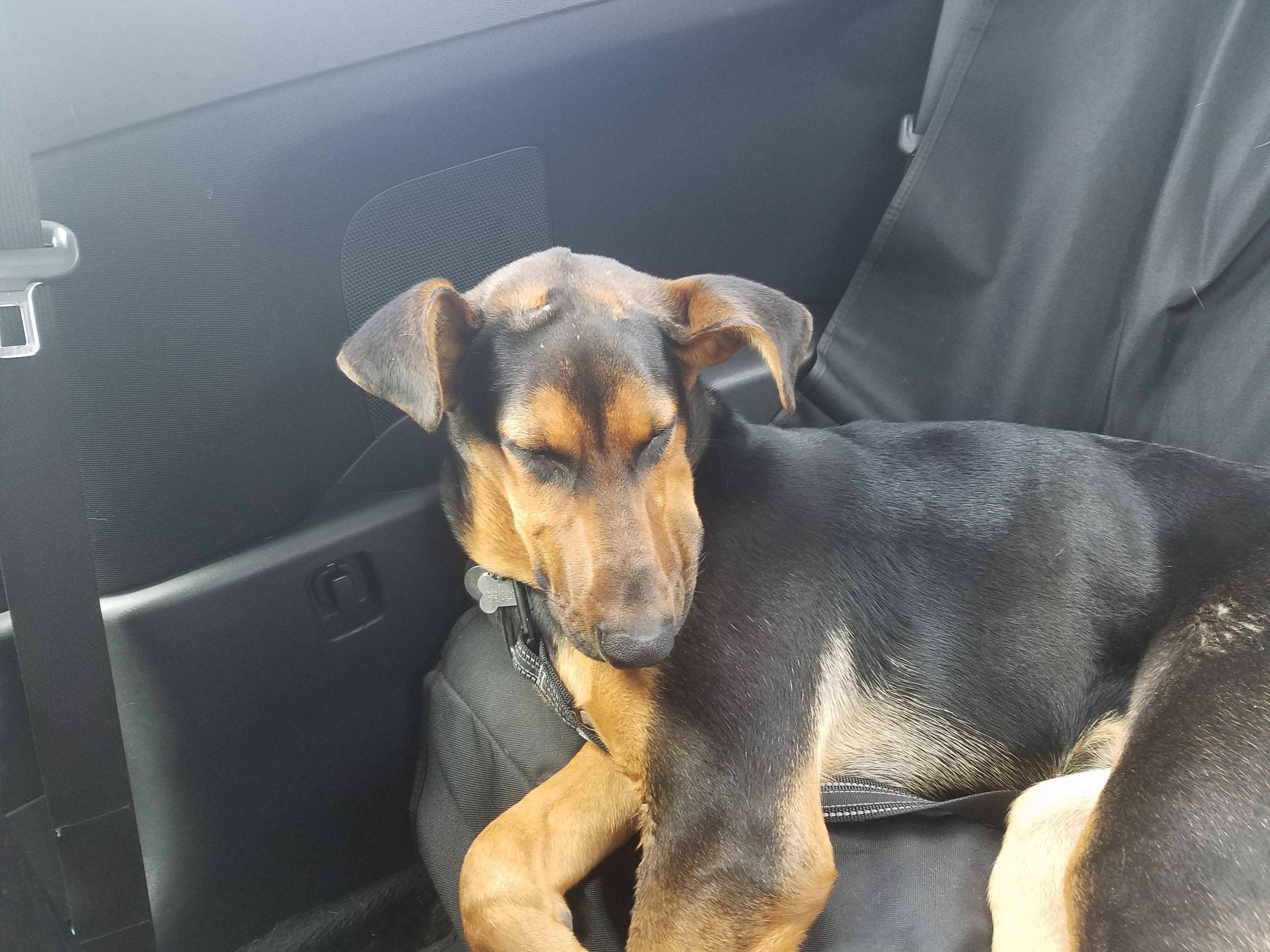 This is basically tradition on car rides! | Scrolller