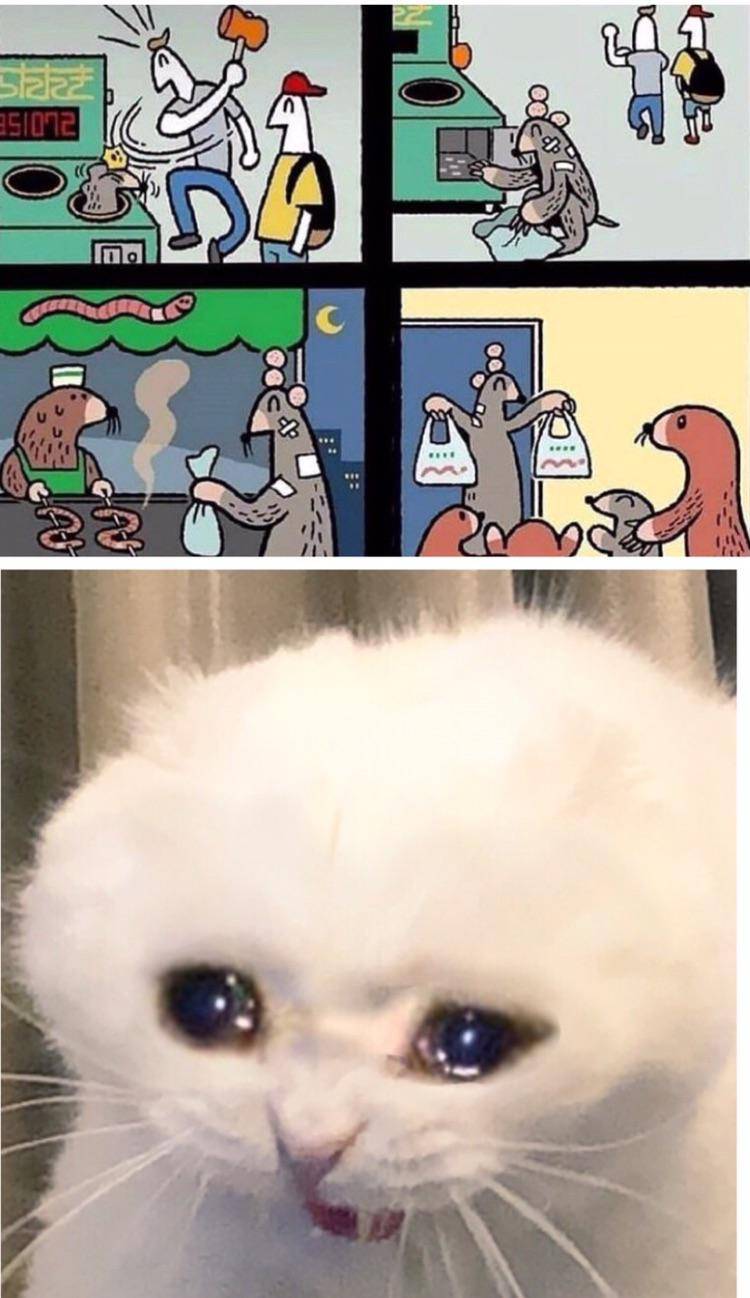 This is big sad:( | Scrolller