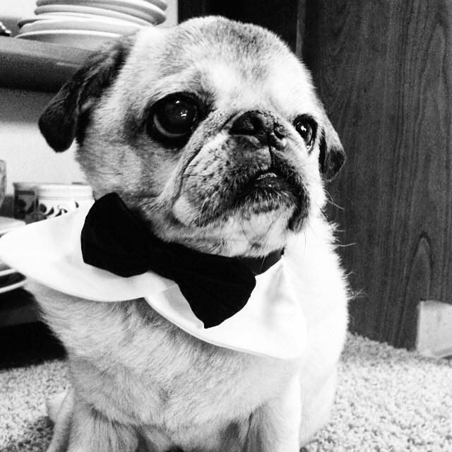 This is Colby-The most handsome boy I know. And he’s almost 18 years old! | Scrolller