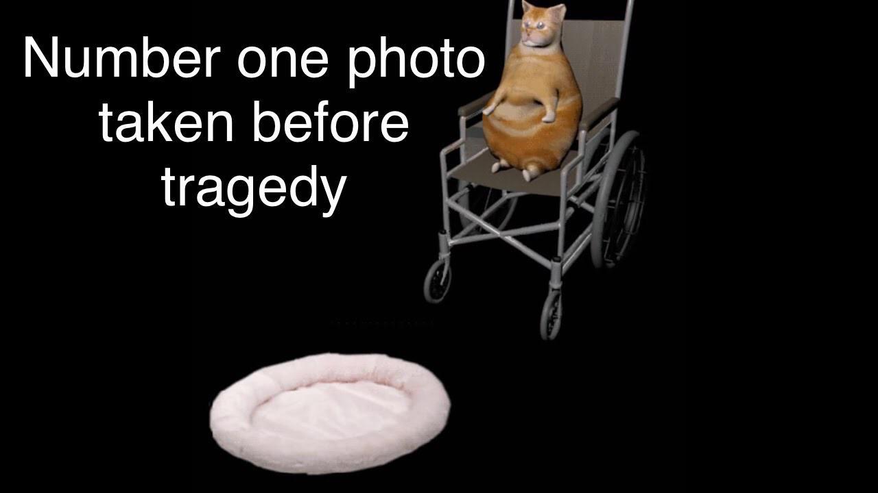 This is Crazy | Scrolller