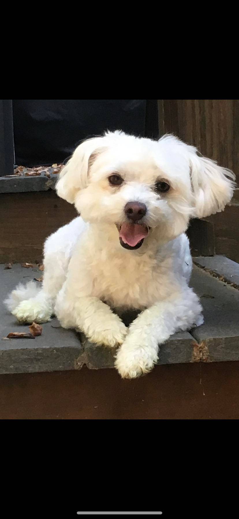 This is Ernie! | Scrolller