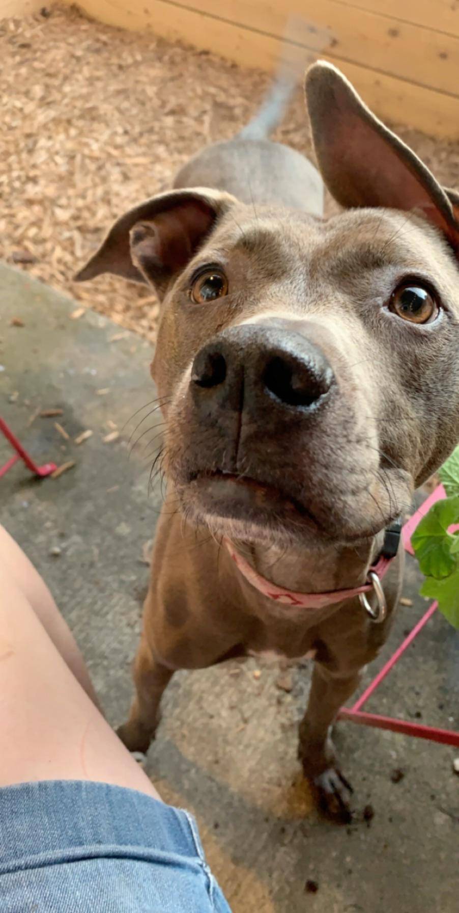 This is Esther and I enjoying our patio together | Scrolller