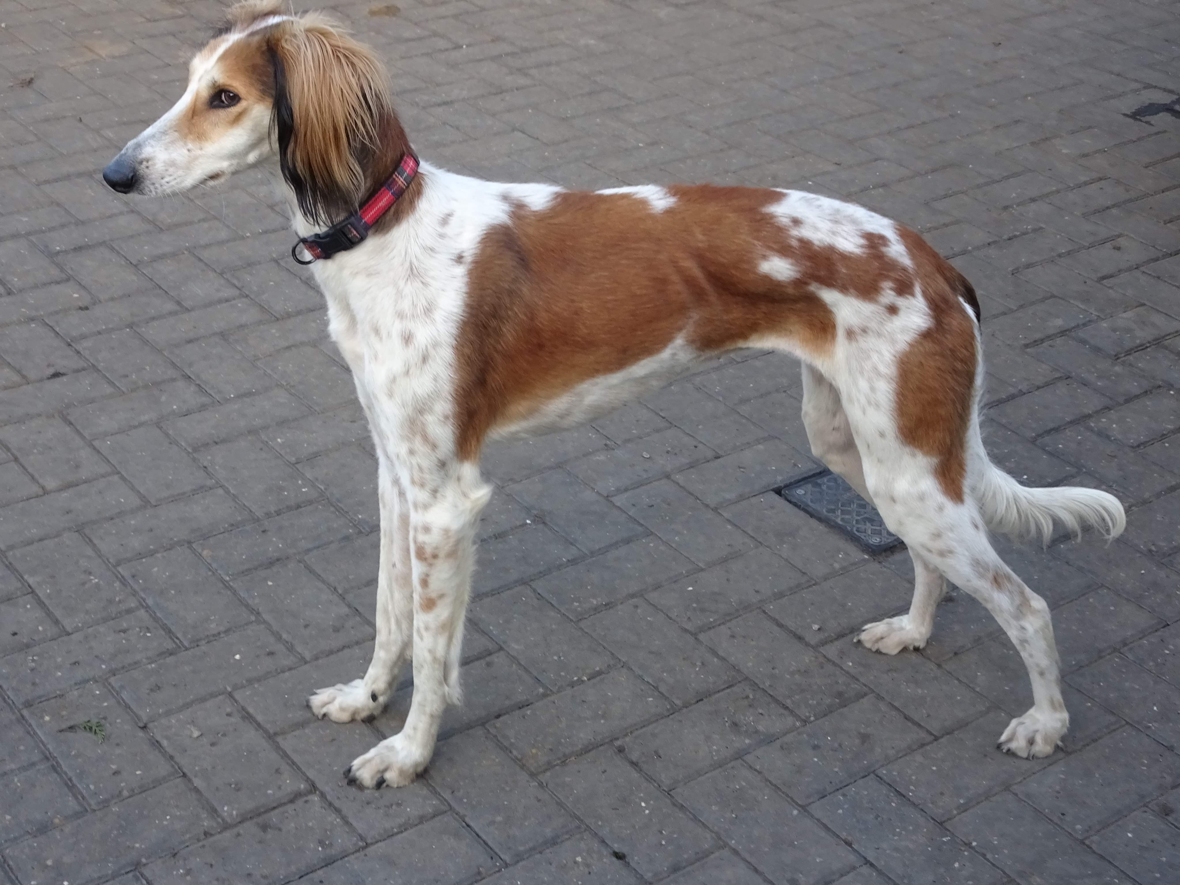 This is her Dam | Scrolller