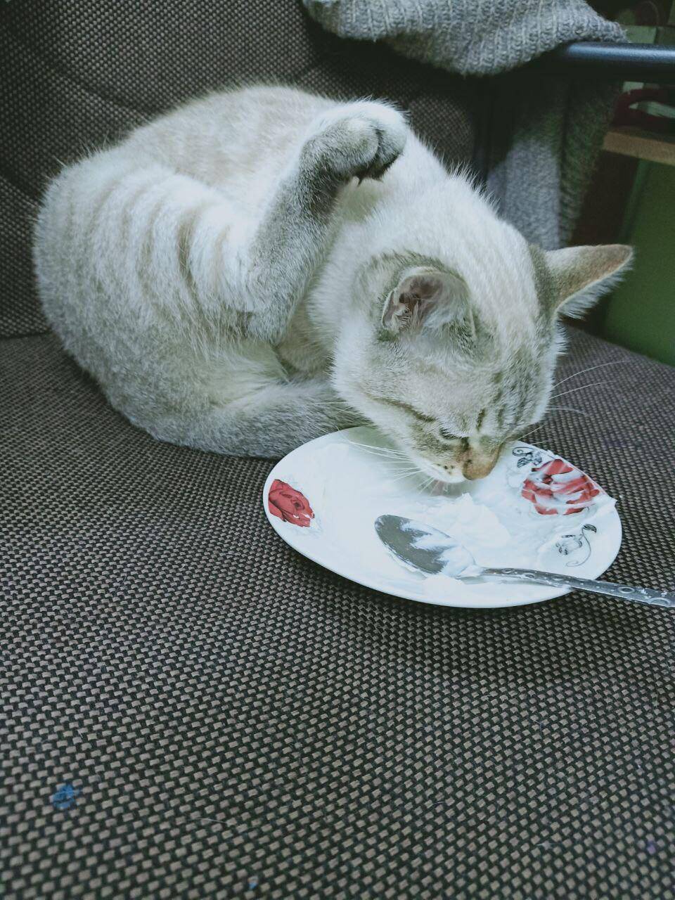 This is how Mr. Marble eats 🤷🏻‍♂️ | Scrolller