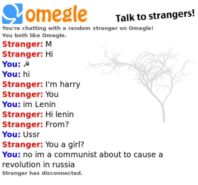 This is just hilarious | Scrolller