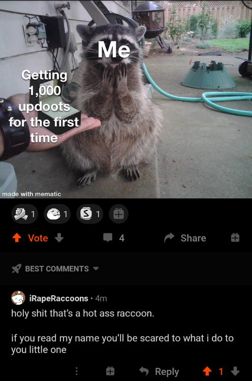 THIS IS KINDA CURSED | Scrolller