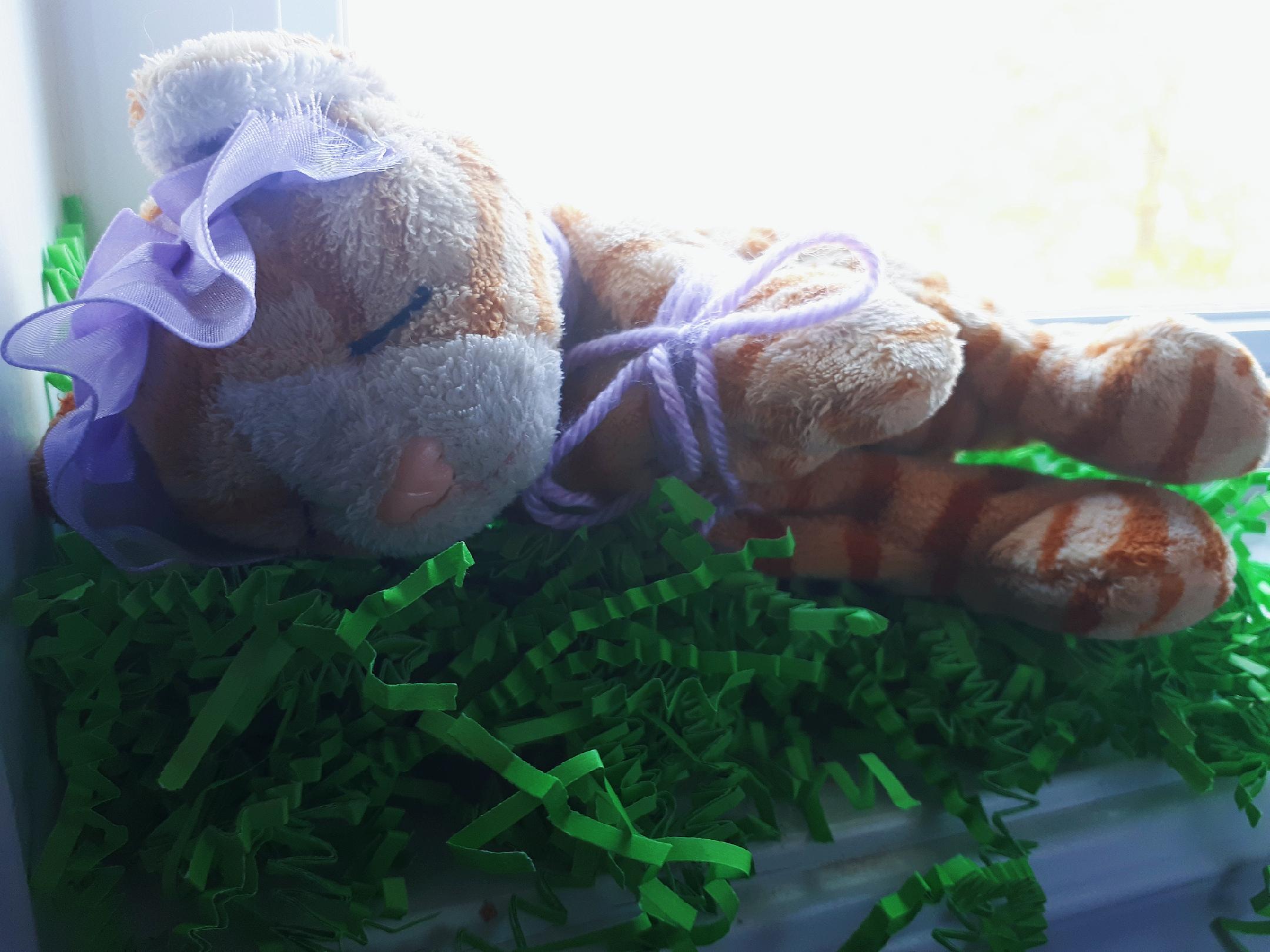 This is Marisol! She is my sleepy little sleep play stuffie! | Scrolller