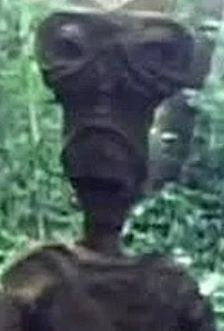 This is mr | Scrolller