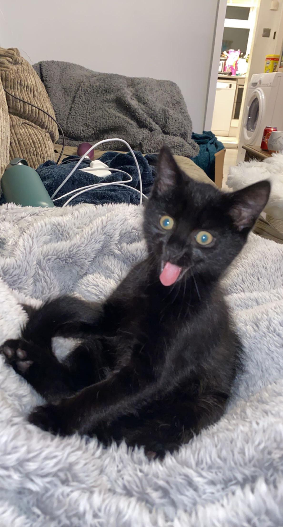 This is quite terrifying actually | Scrolller