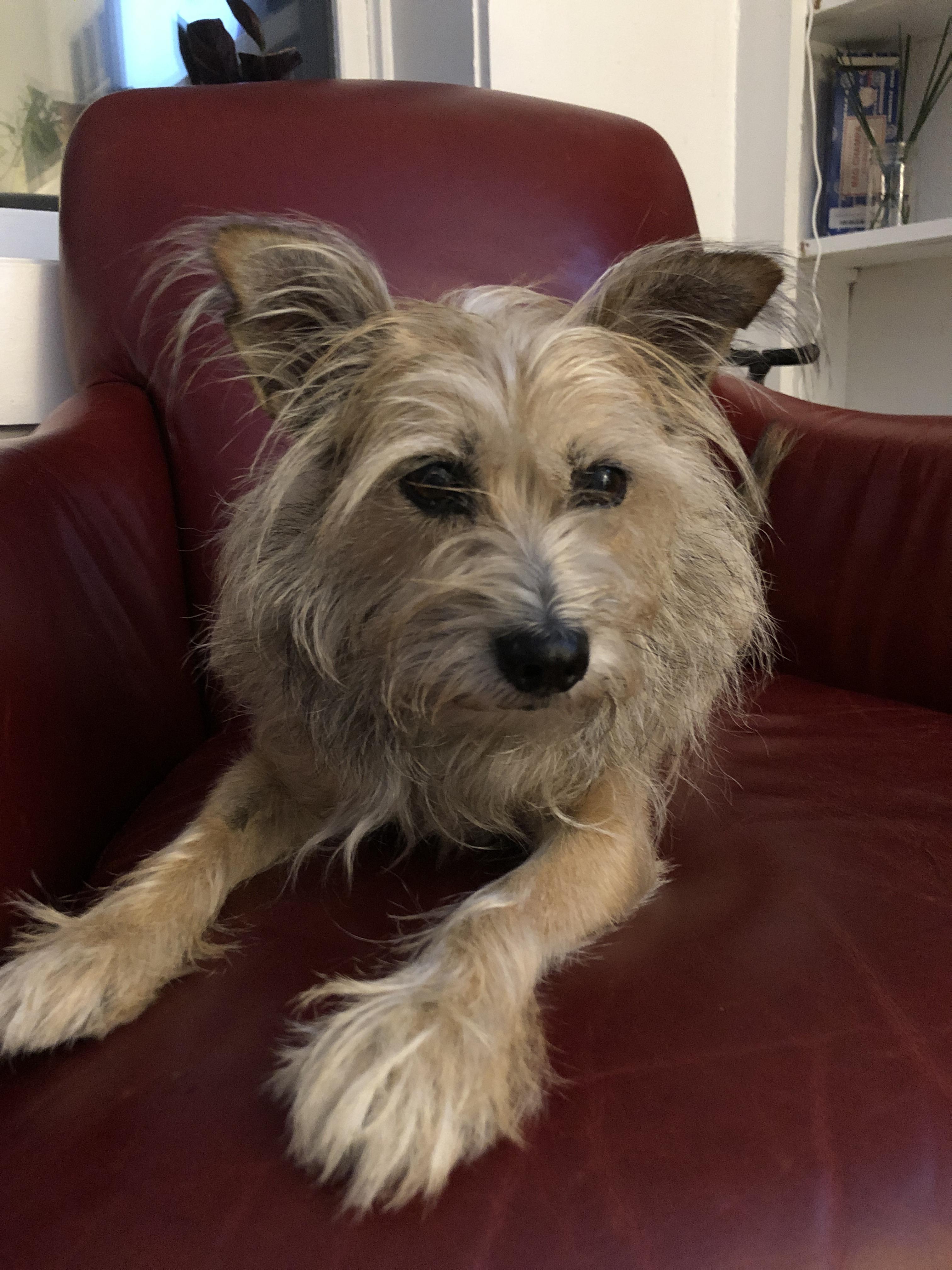 This is Sam | Scrolller