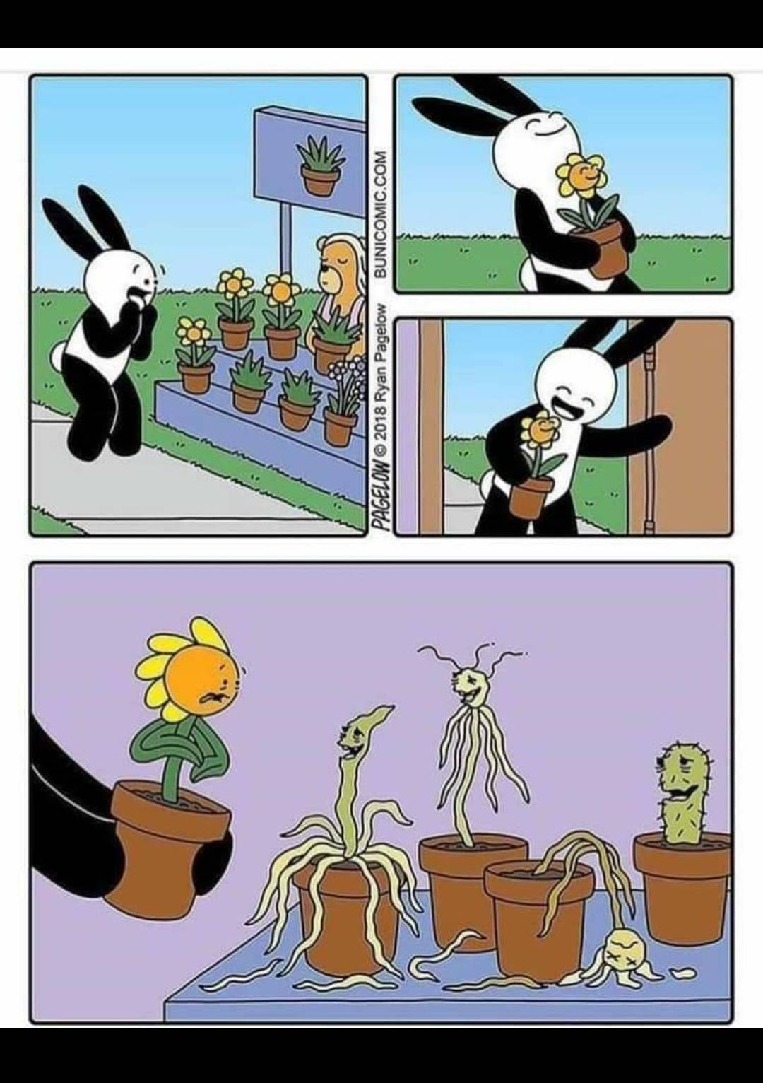 This is so funny | Scrolller