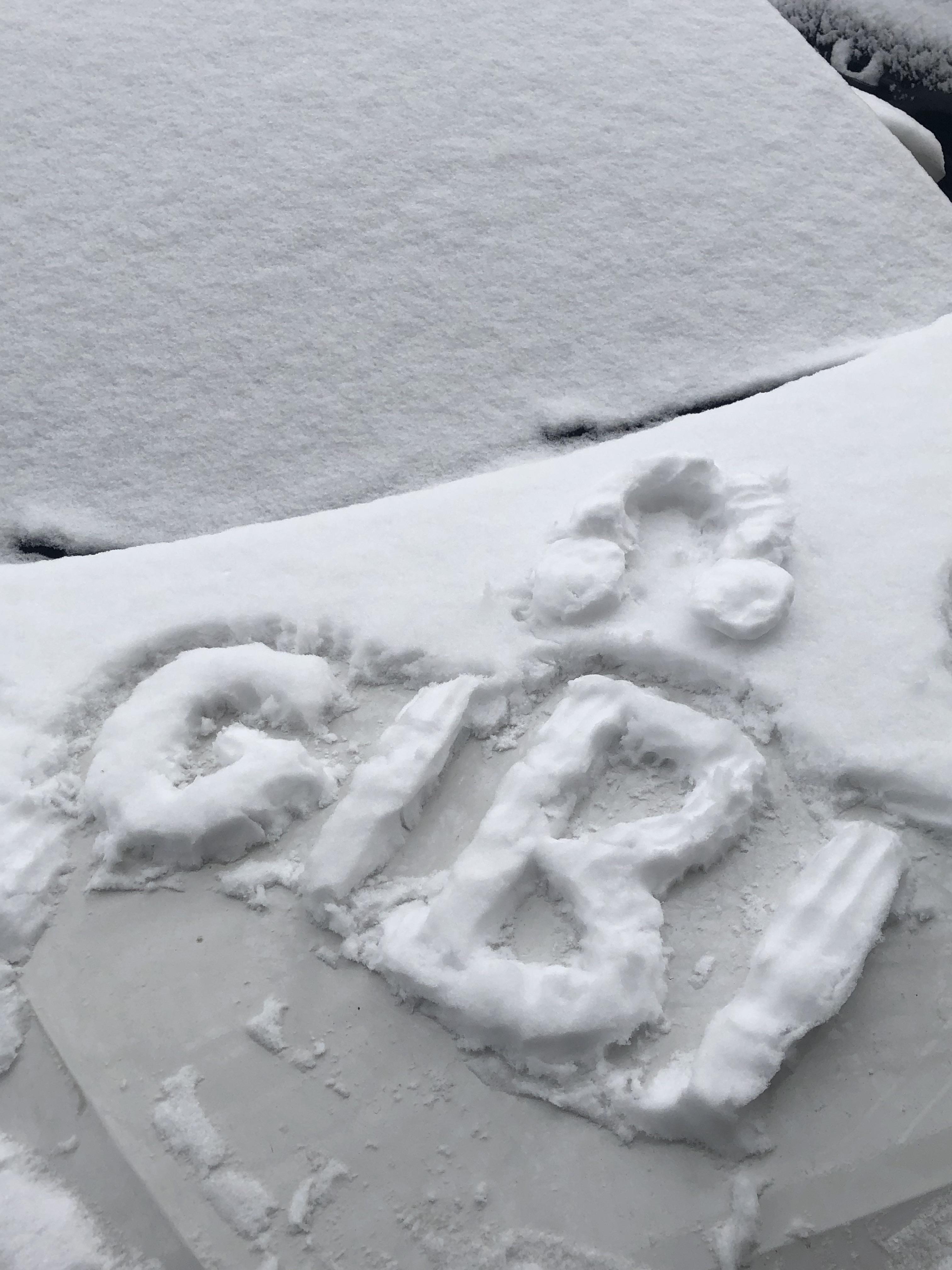 This is the first snow i see in like almost 2 years. And it is SO ...