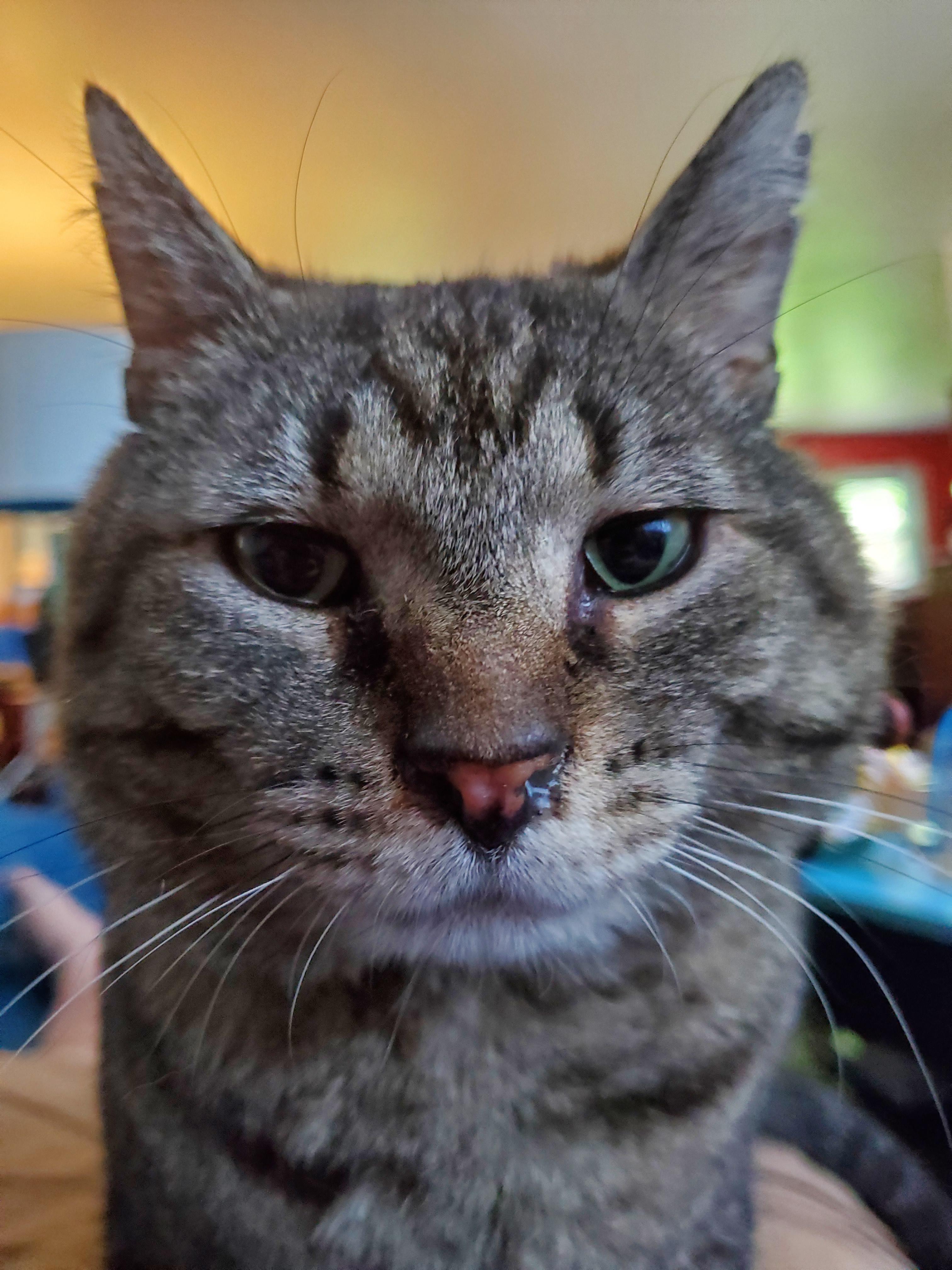 This is Timmy he's a big boy | Scrolller