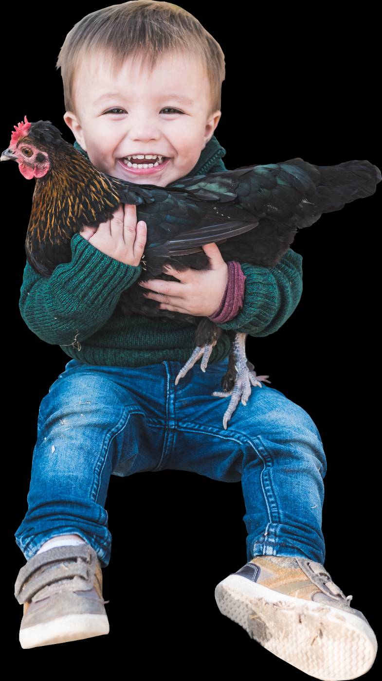 This kid and chicken | Scrolller