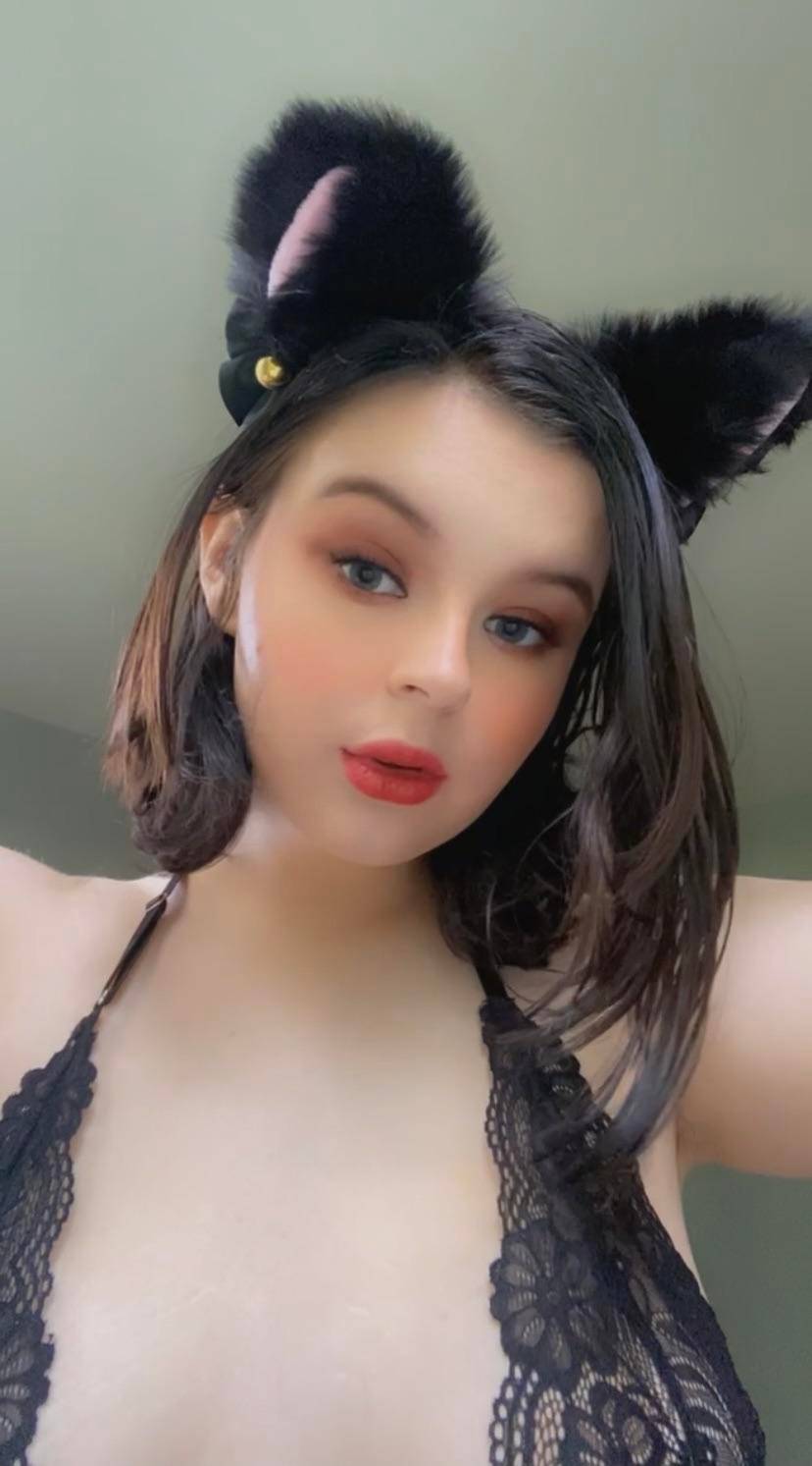 This kitty is in heat 🥺 | Scrolller