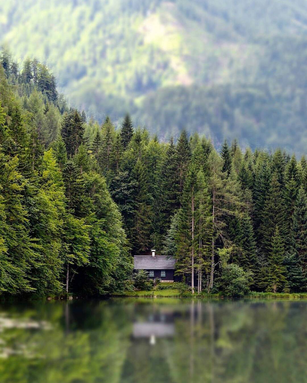 This lakeside Austrian cabin looks like a miniature model | Scrolller