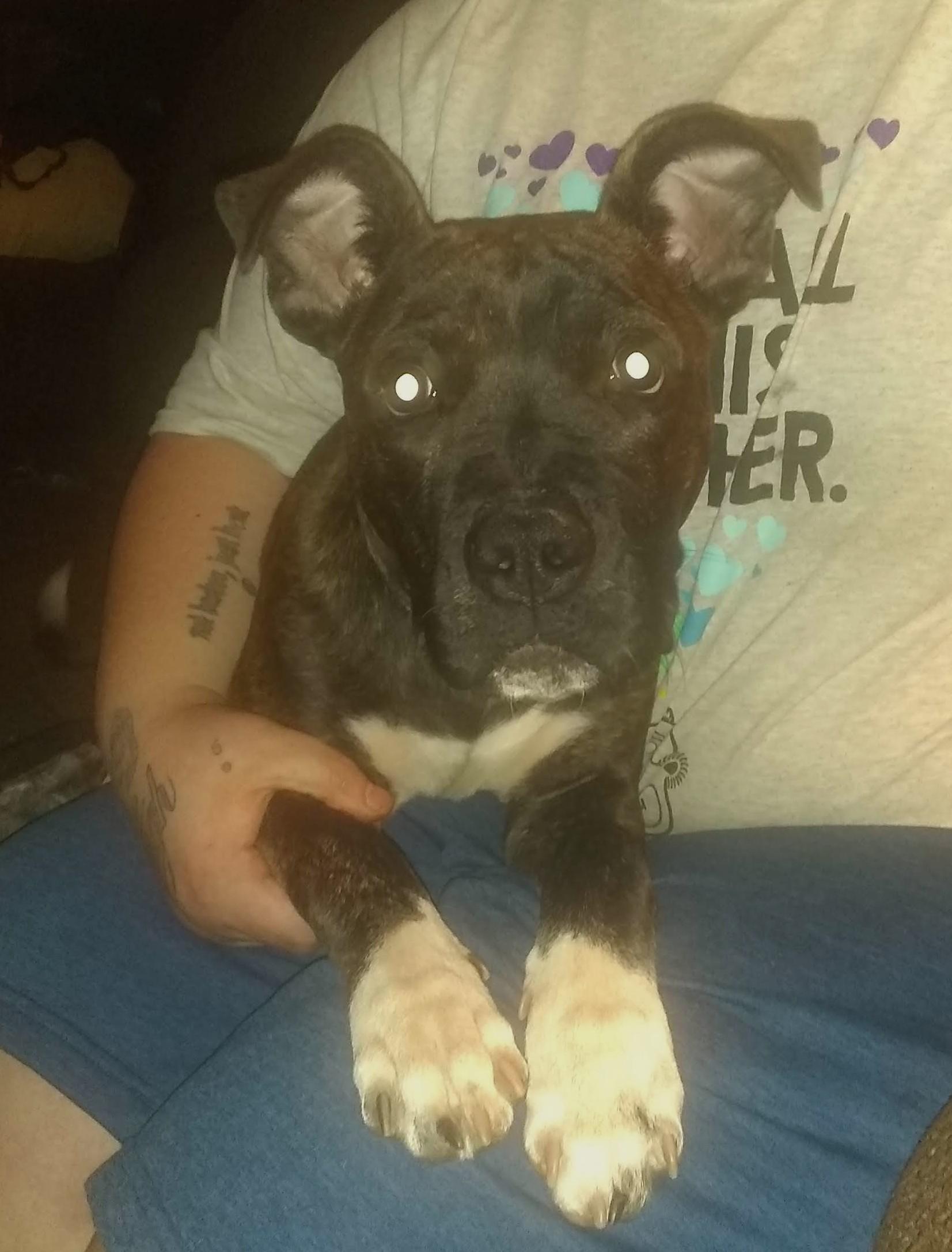 This little lady looking like a grumpy old man, beard and all | Scrolller