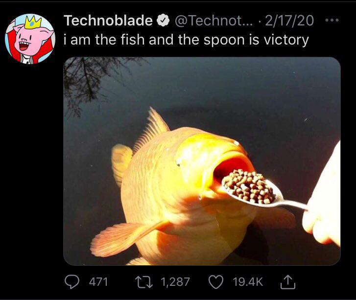 This man has literally been full of positive energy so much, we love him #TECHNOSUPPORT | Scrolller