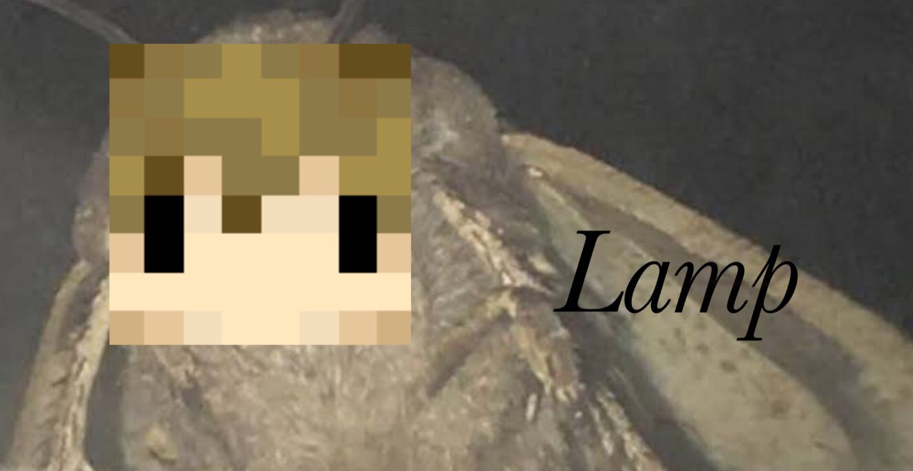 This meme is long dead, but Grian wants lamp | Scrolller
