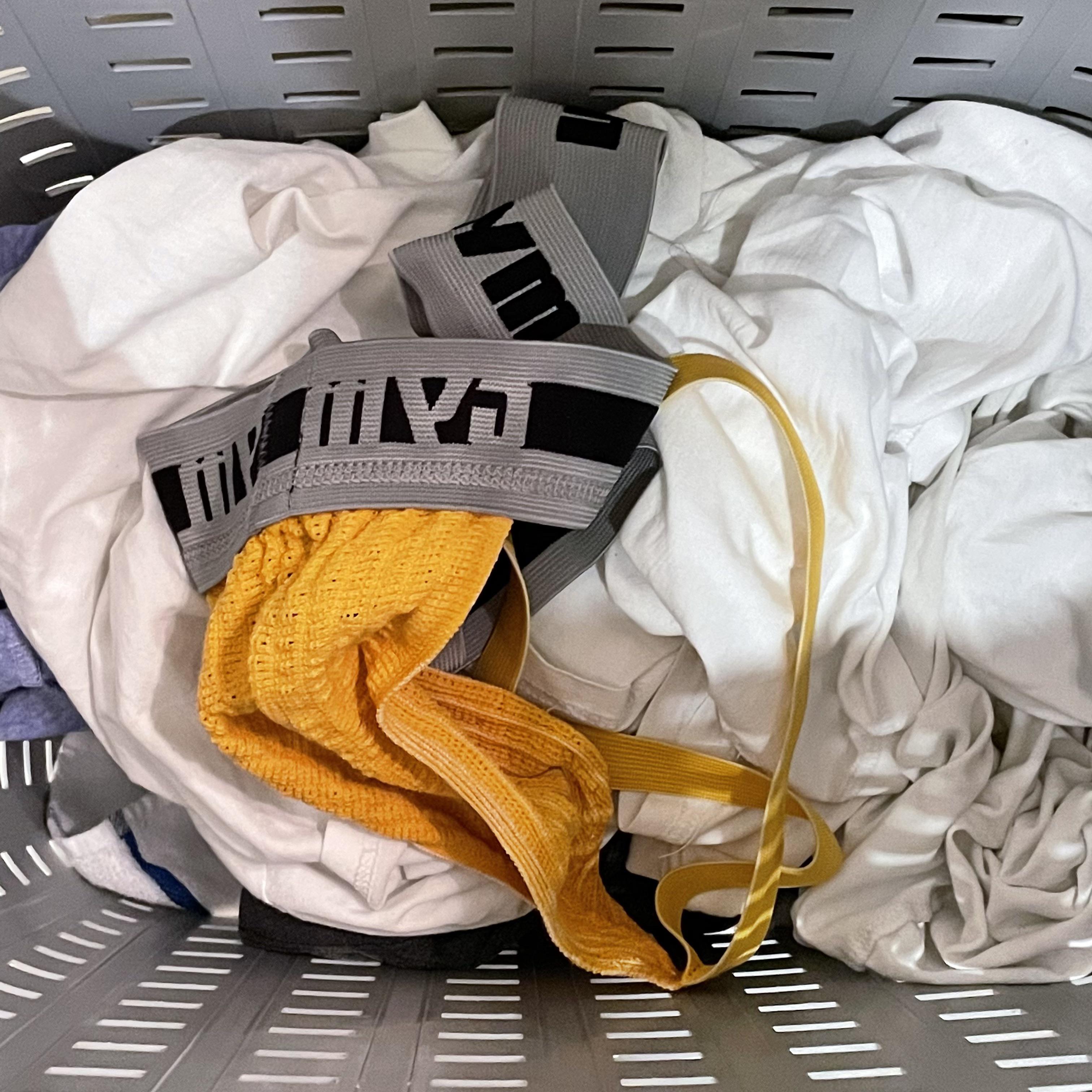 This morning’s GYM jock in the laundry . . . | Scrolller