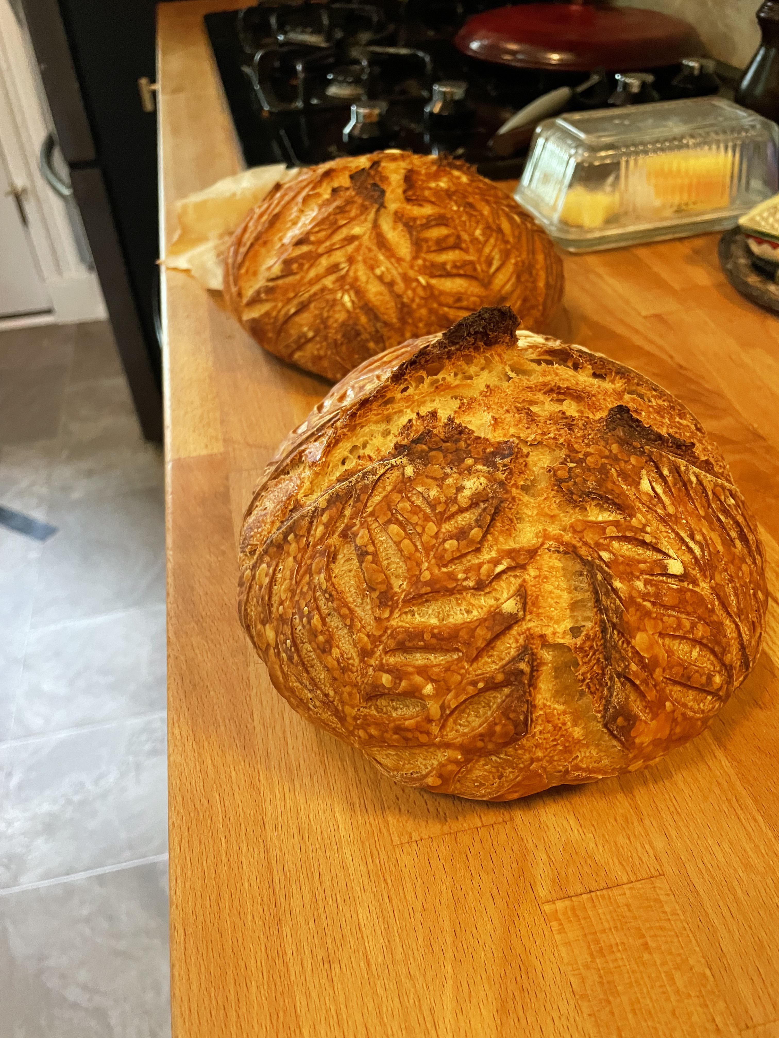 This never gets old. | Scrolller