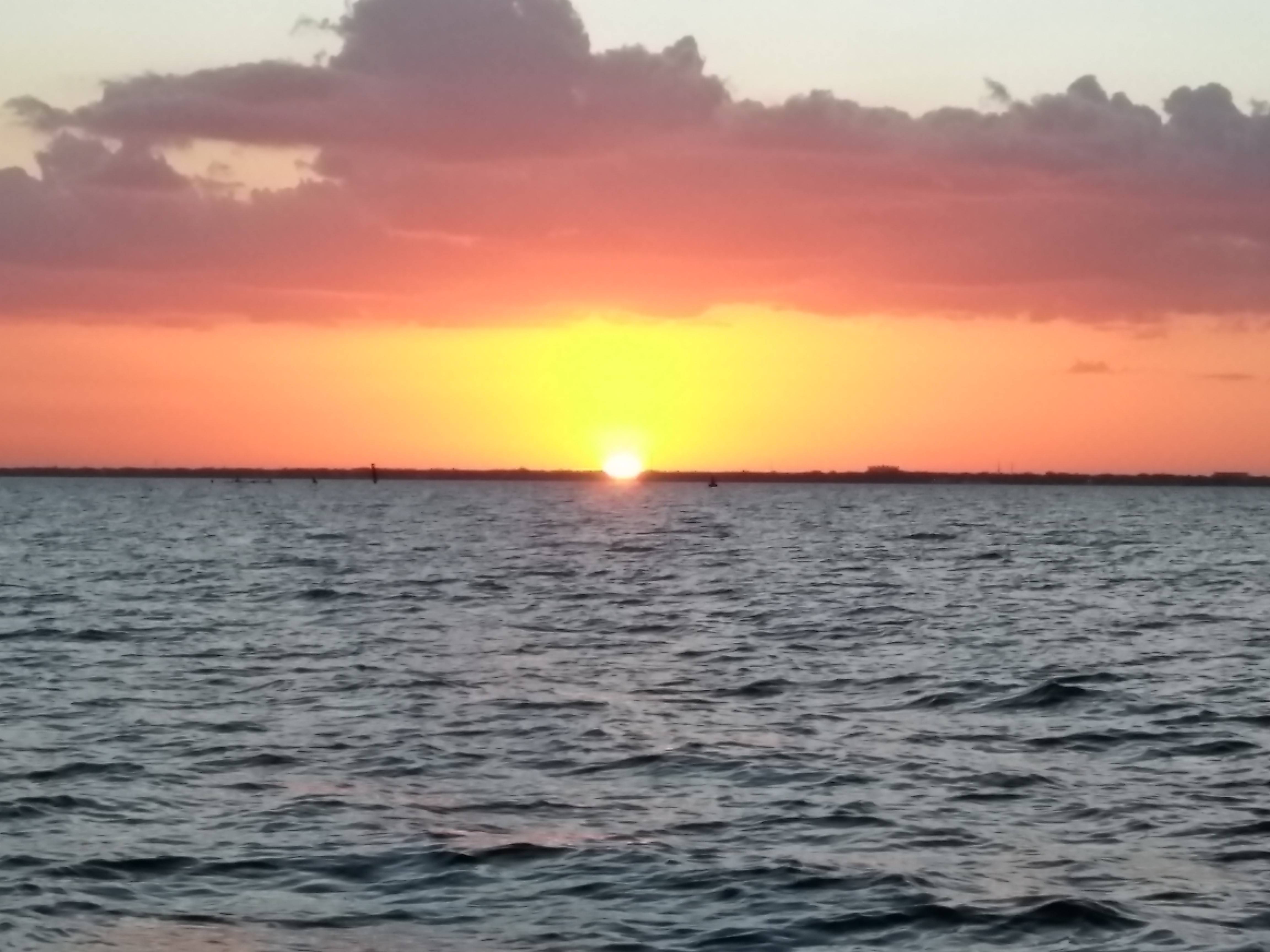 This never gets old. | Scrolller