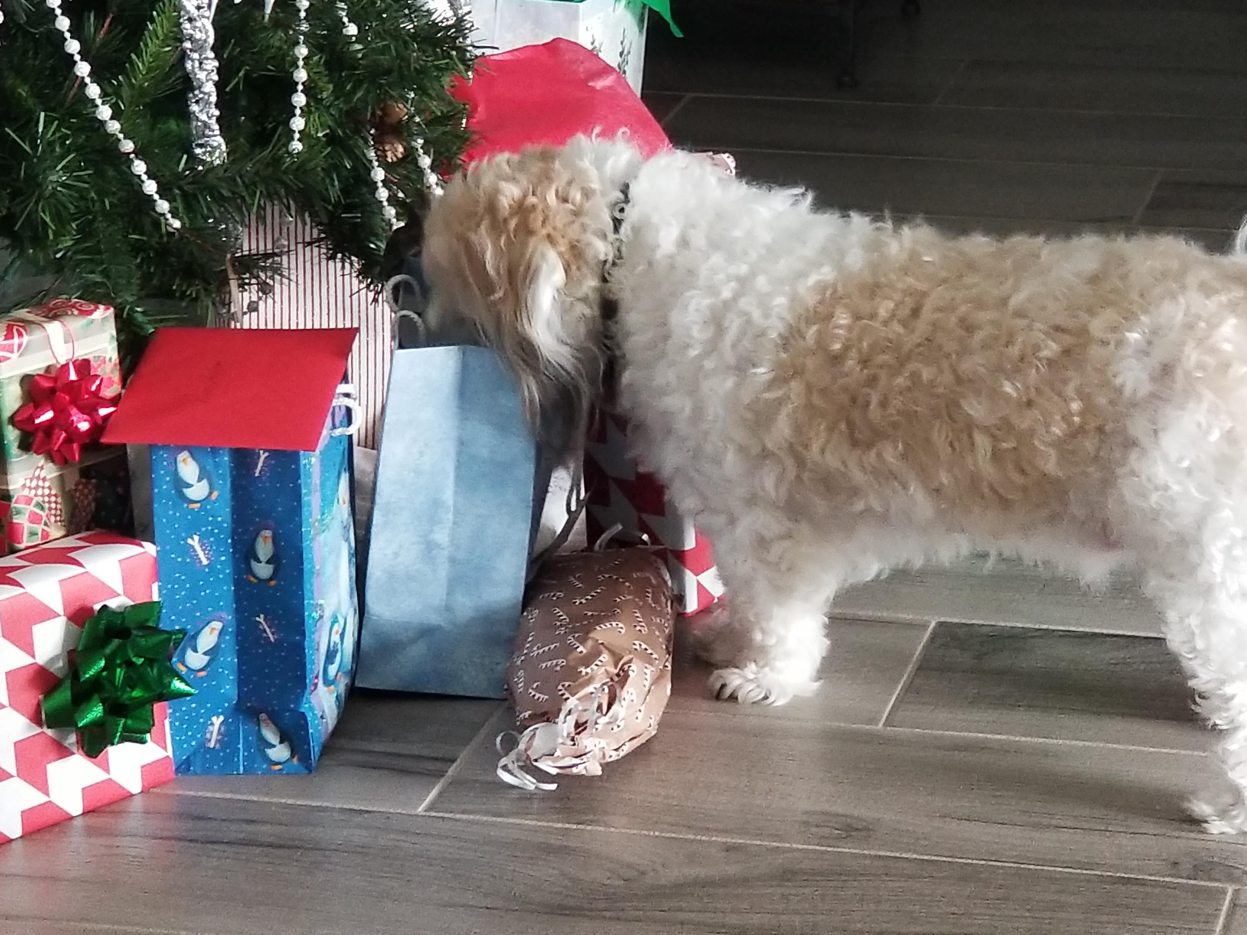 This one is mine | Scrolller