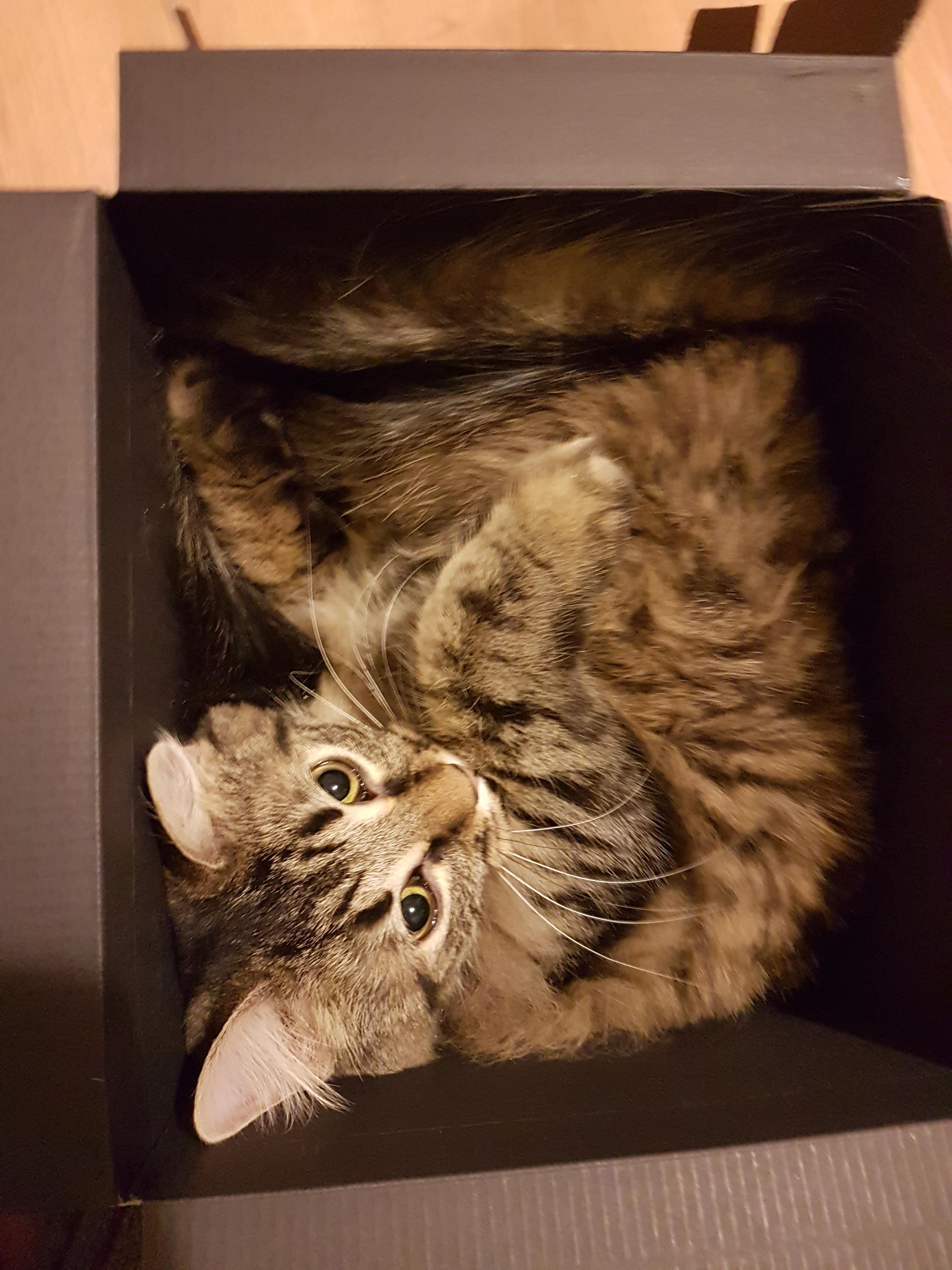 This ones defective. We ship it back | Scrolller