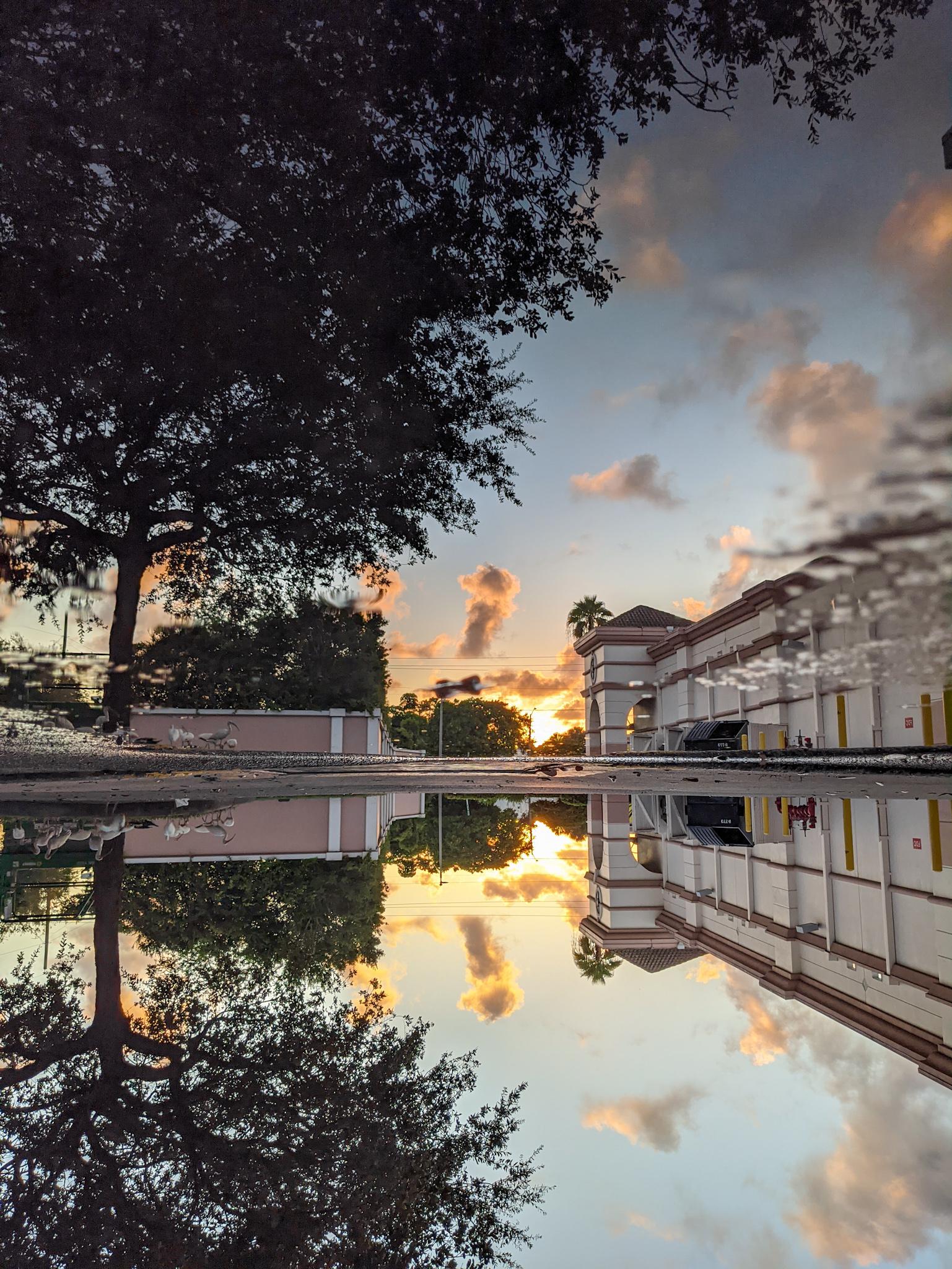 This photo is flipped upside down - P4 | Scrolller