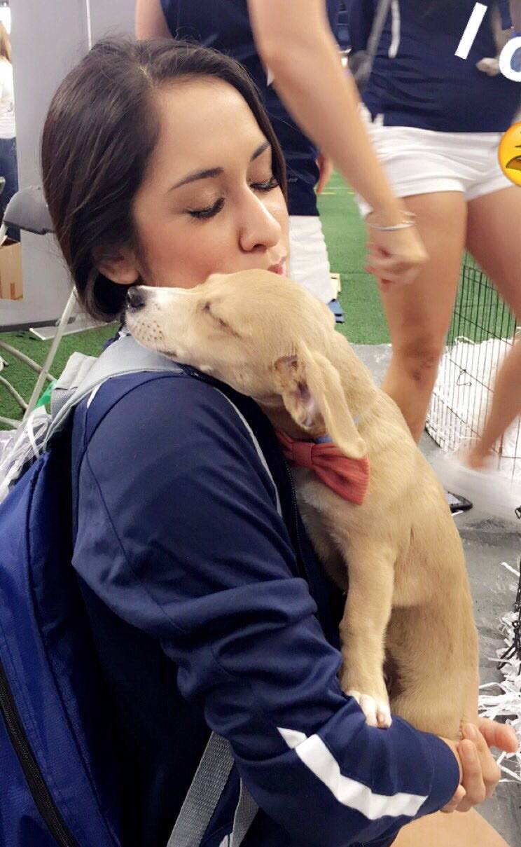 This puppy had a bow tie | Scrolller