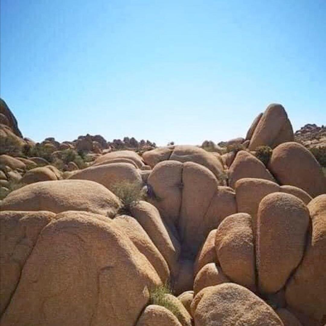 This rock | Scrolller