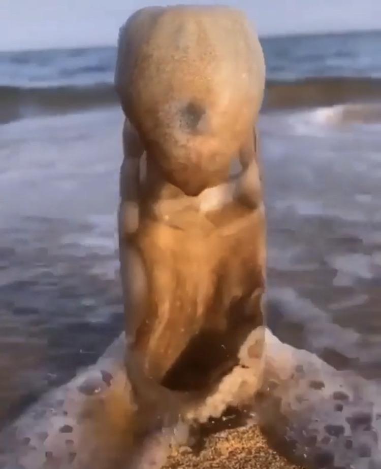 This seems fitting | Scrolller