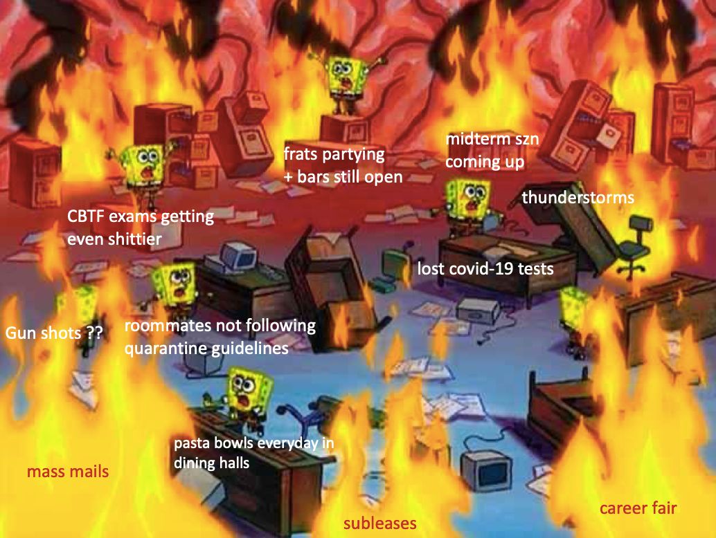 this sub in a nutshell since school started | Scrolller