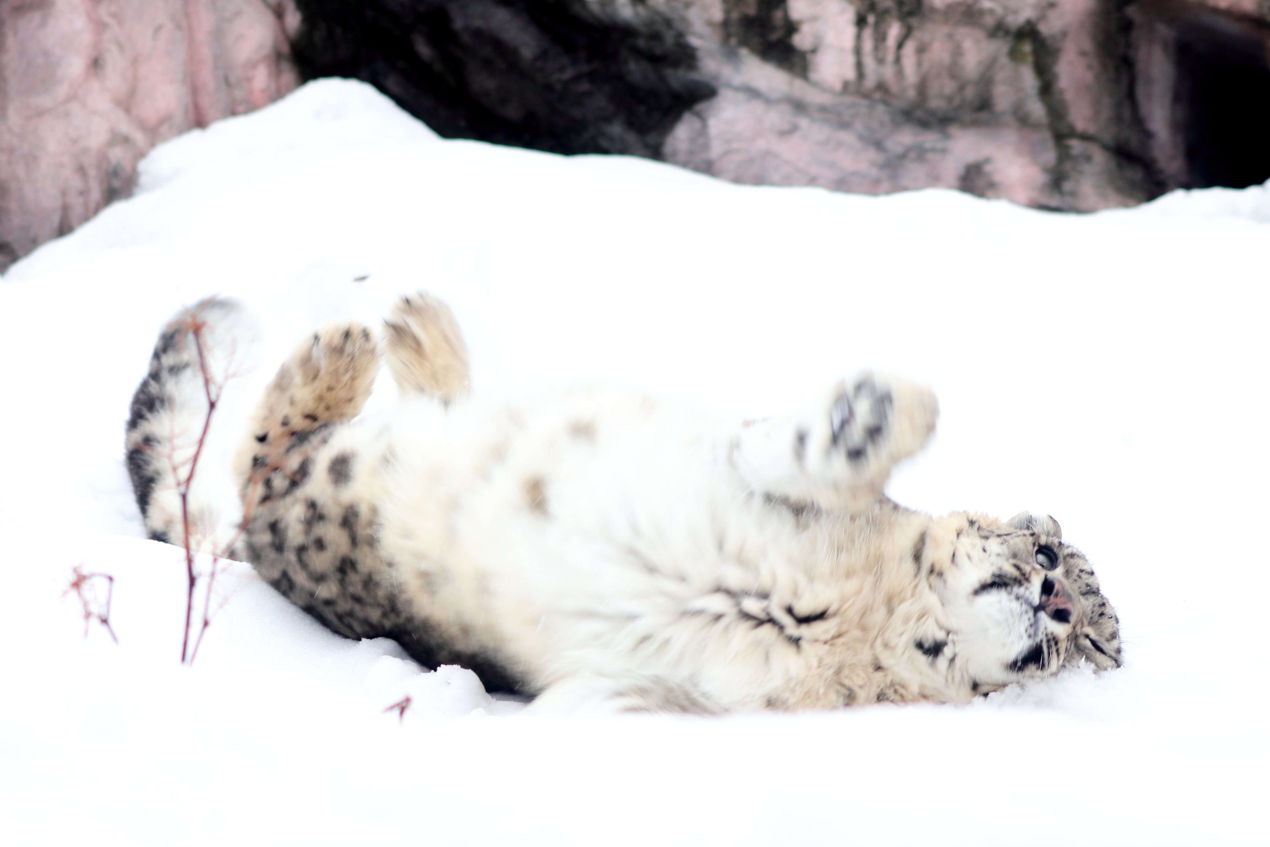 This sub needs more pictures | Scrolller