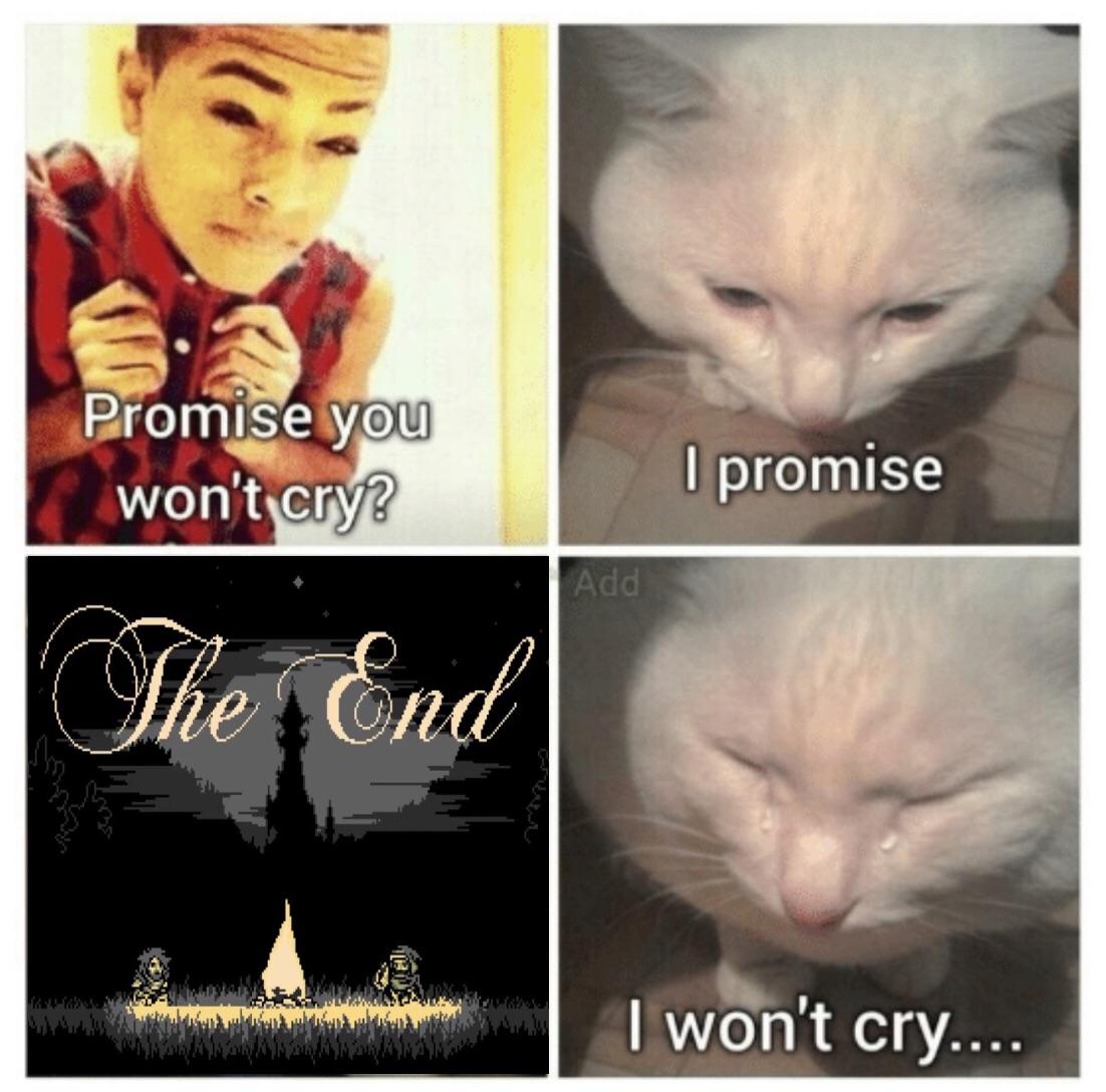 This subreddit needs more memes | Scrolller