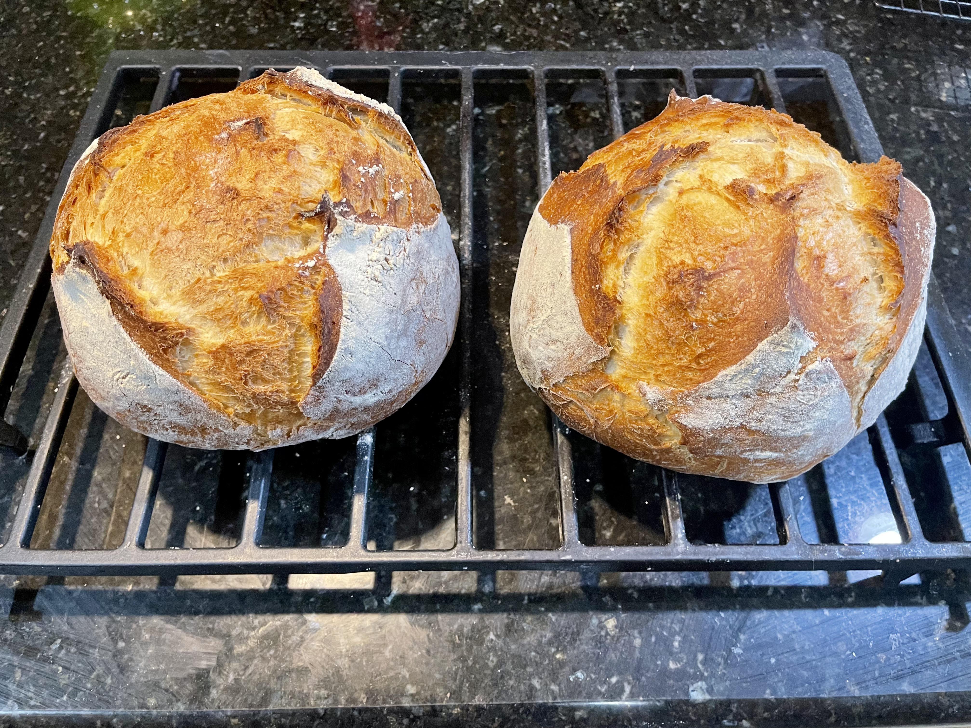 This week's loaves | Scrolller