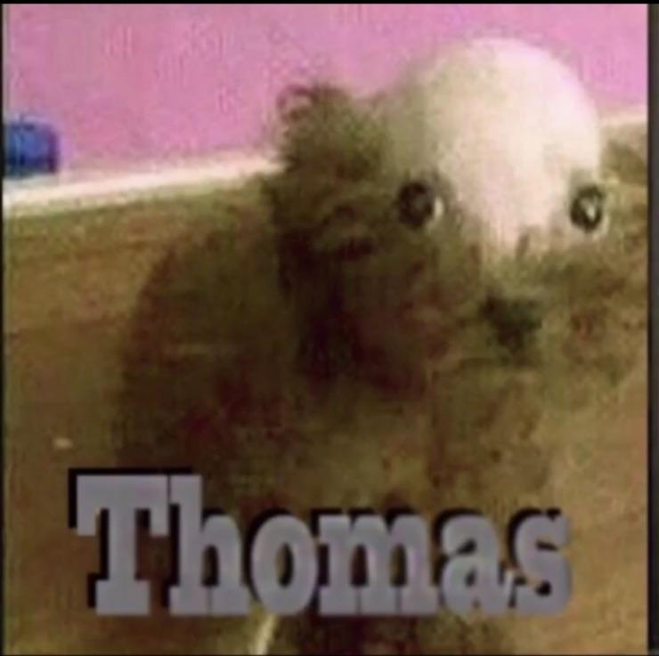 Thomas | Scrolller