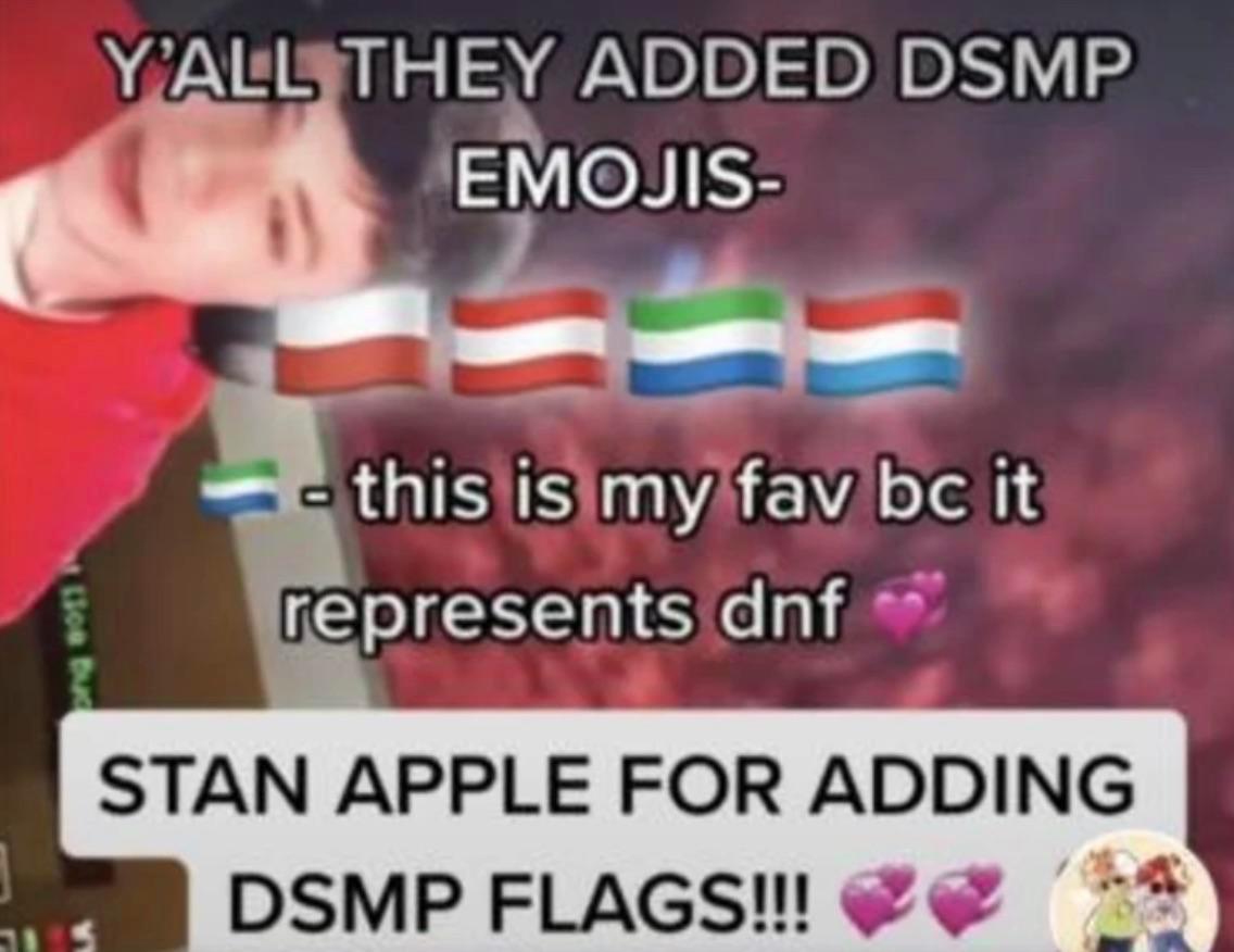 THOSE ARE REAL FLAGS OF REAL COUNTRIES. NOT DSMP FLAGS. | Scrolller