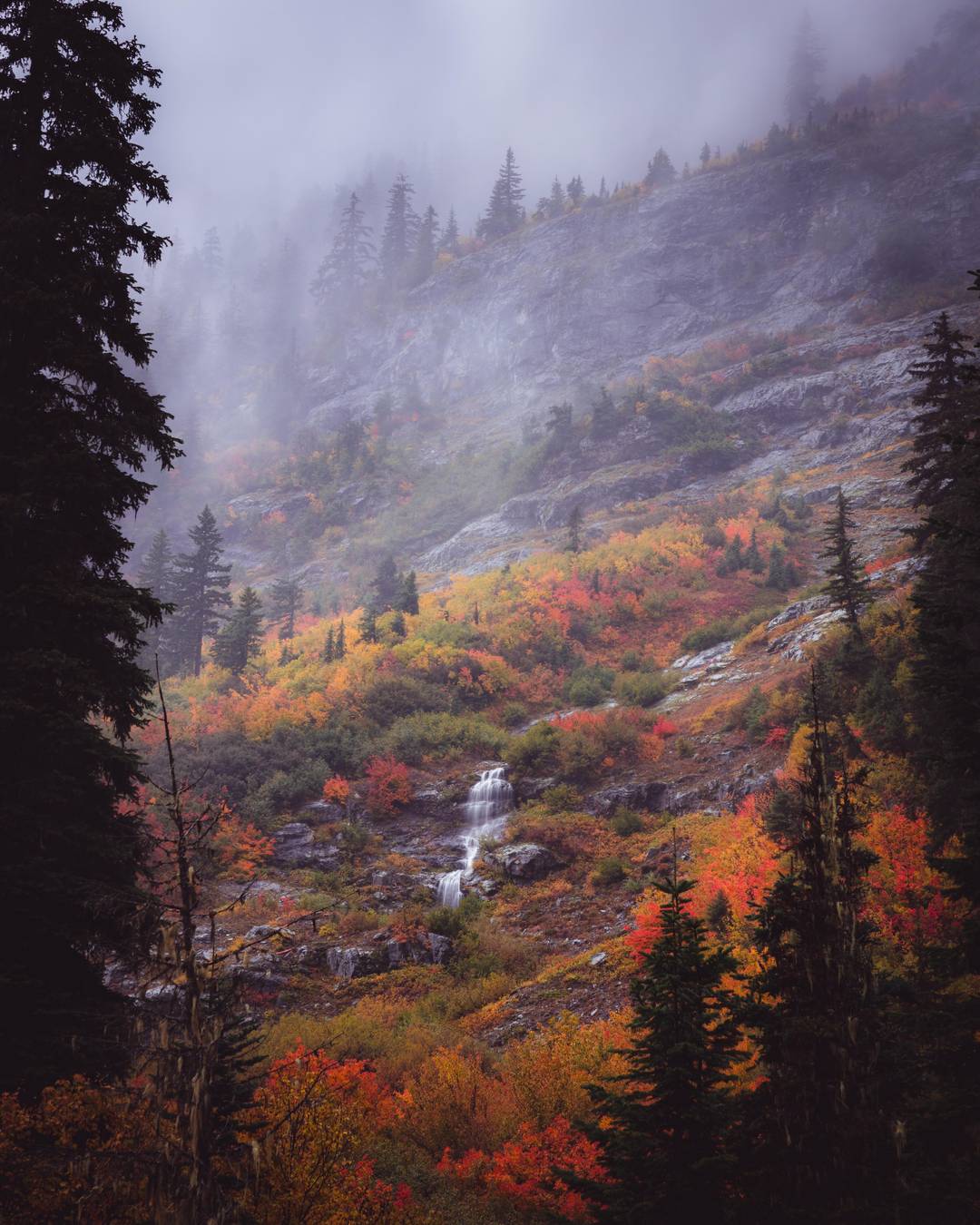 “Through the Mist” — taken by me in the Alpine Lakes Wilderness, WA (@jaj_images) | Scrolller