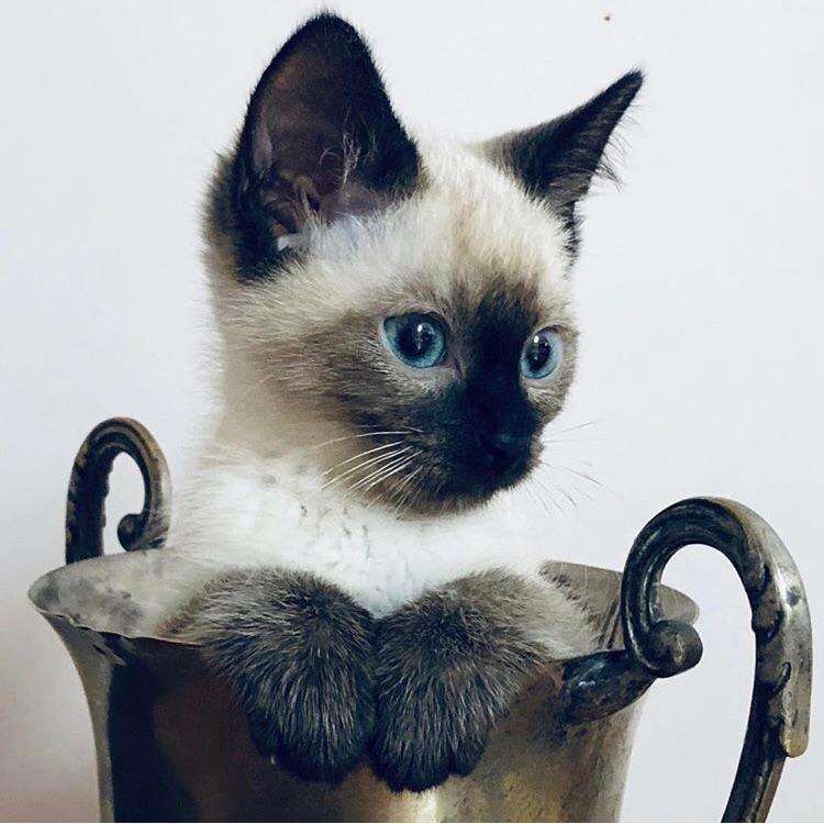 Throw back to the first photo shoot! | Scrolller