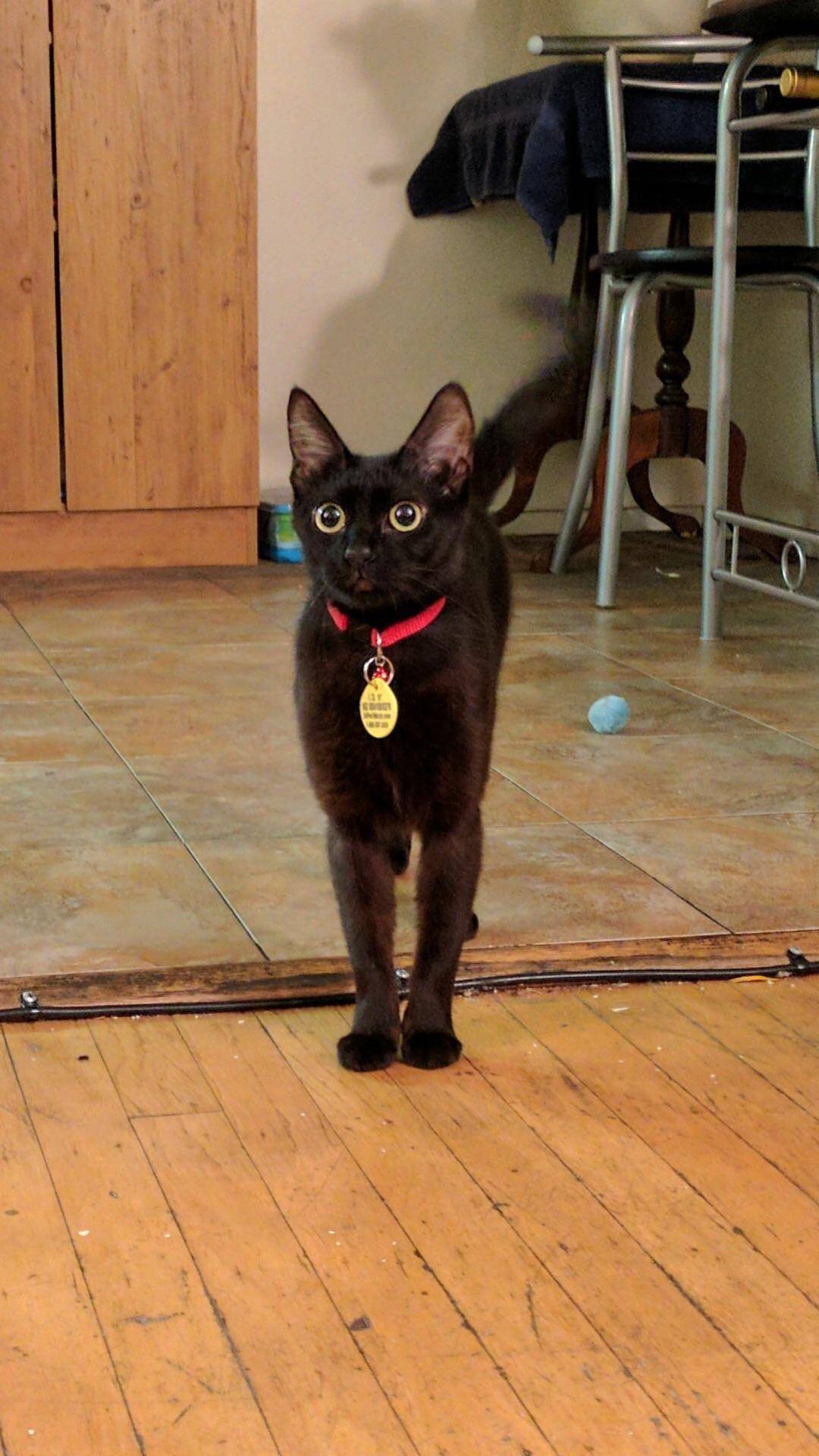 Throwback Monday 🐱 | Scrolller