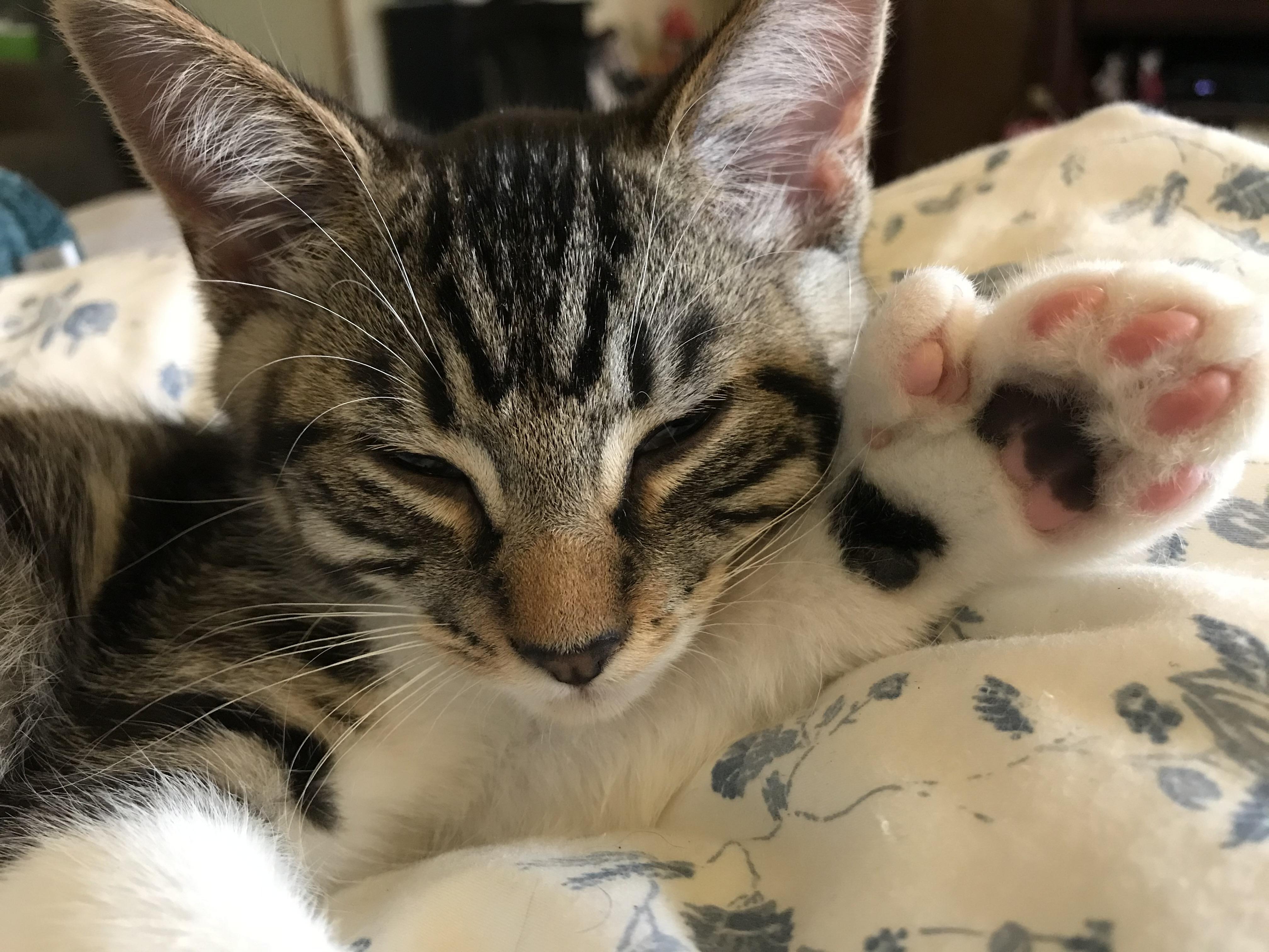 Thumbs up! | Scrolller